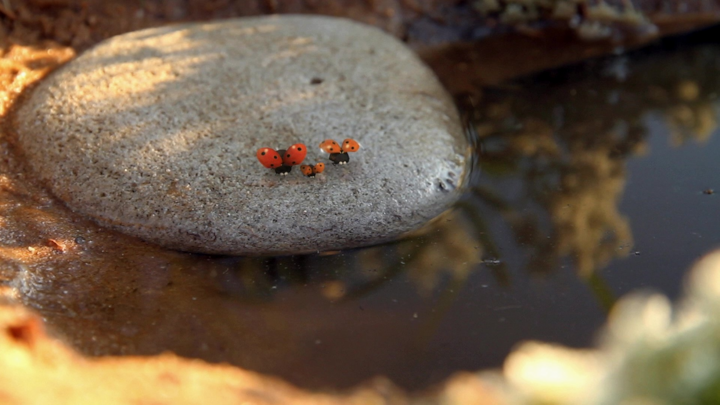 Prime Video: Minuscule - Saison 2