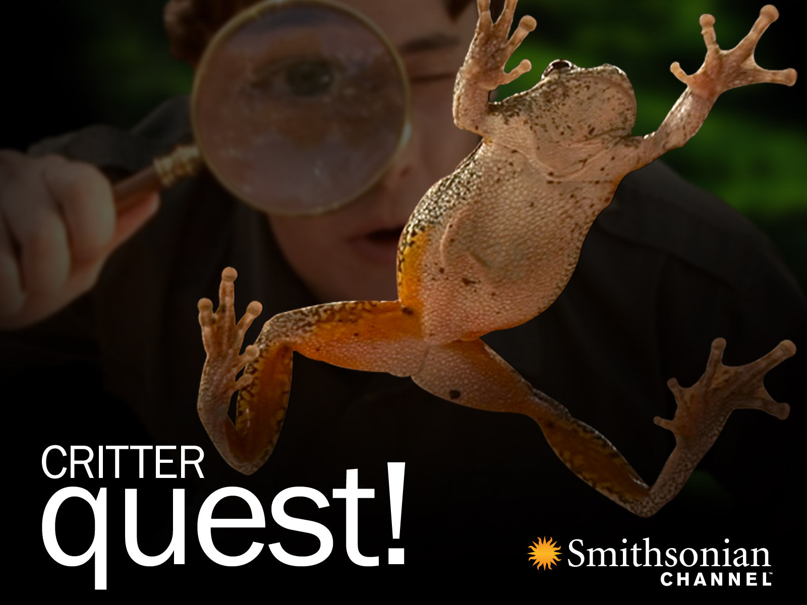 Prime Video: Critter Quest Season 1