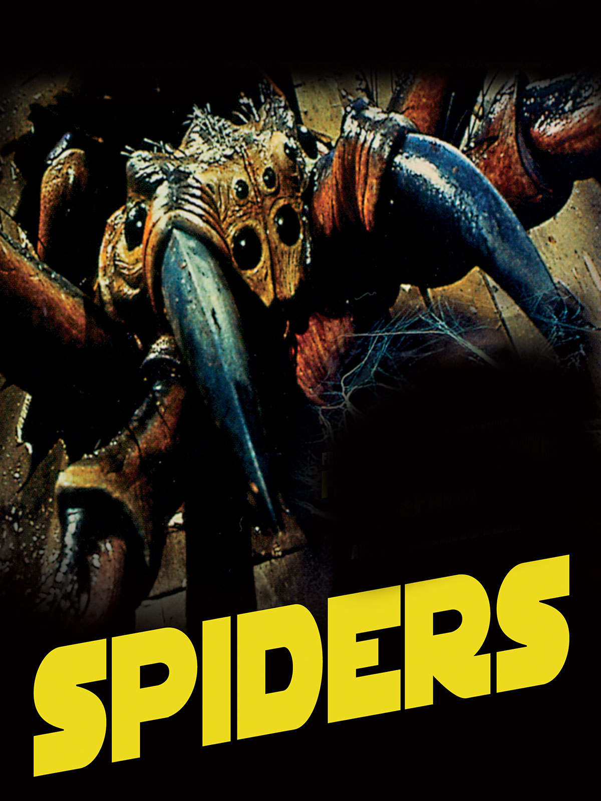 Spiders 2000