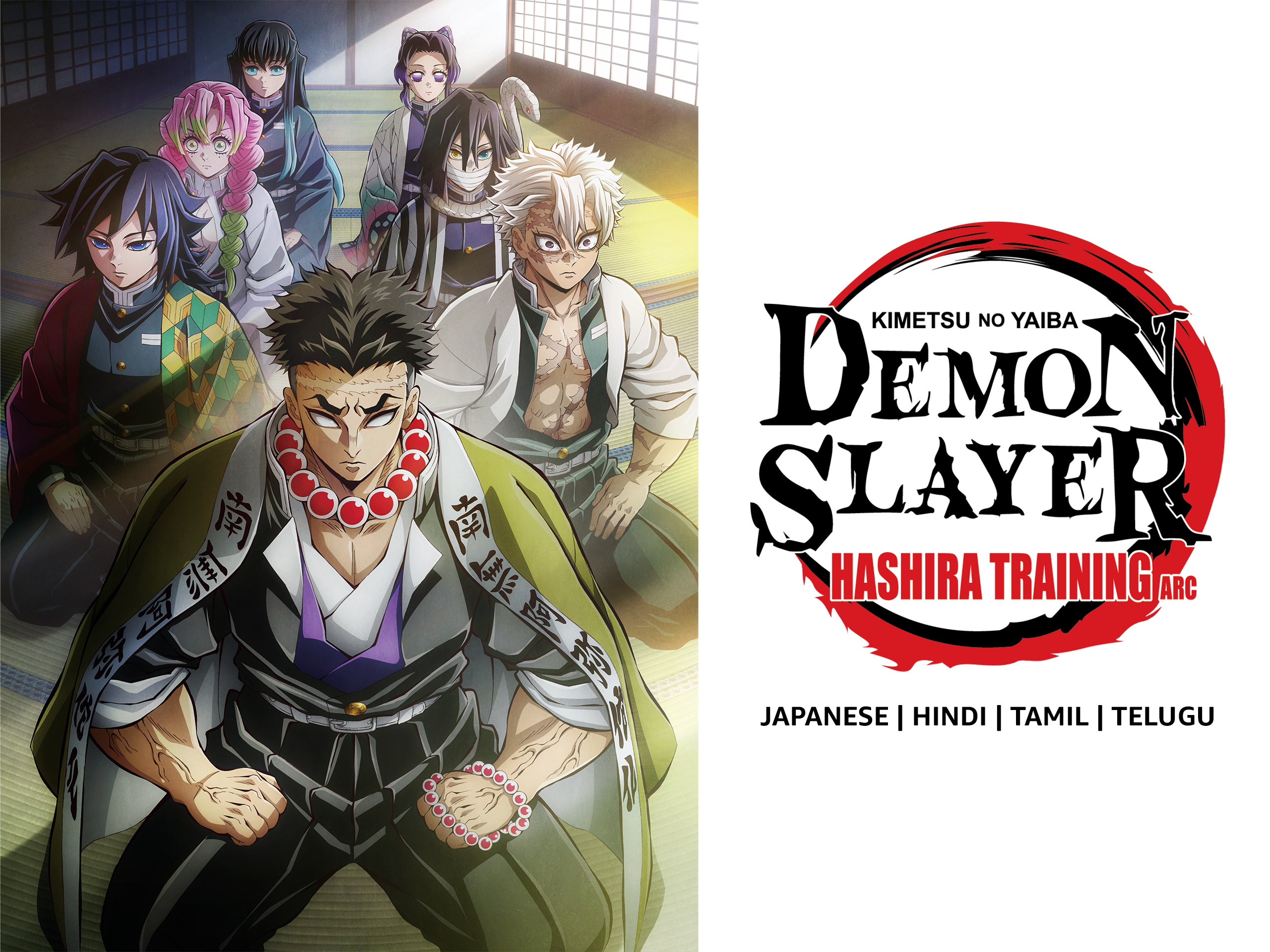 Prime Video: Demon Slayer: Kimetsu no Yaiba Hashira Training Arc - Season 1