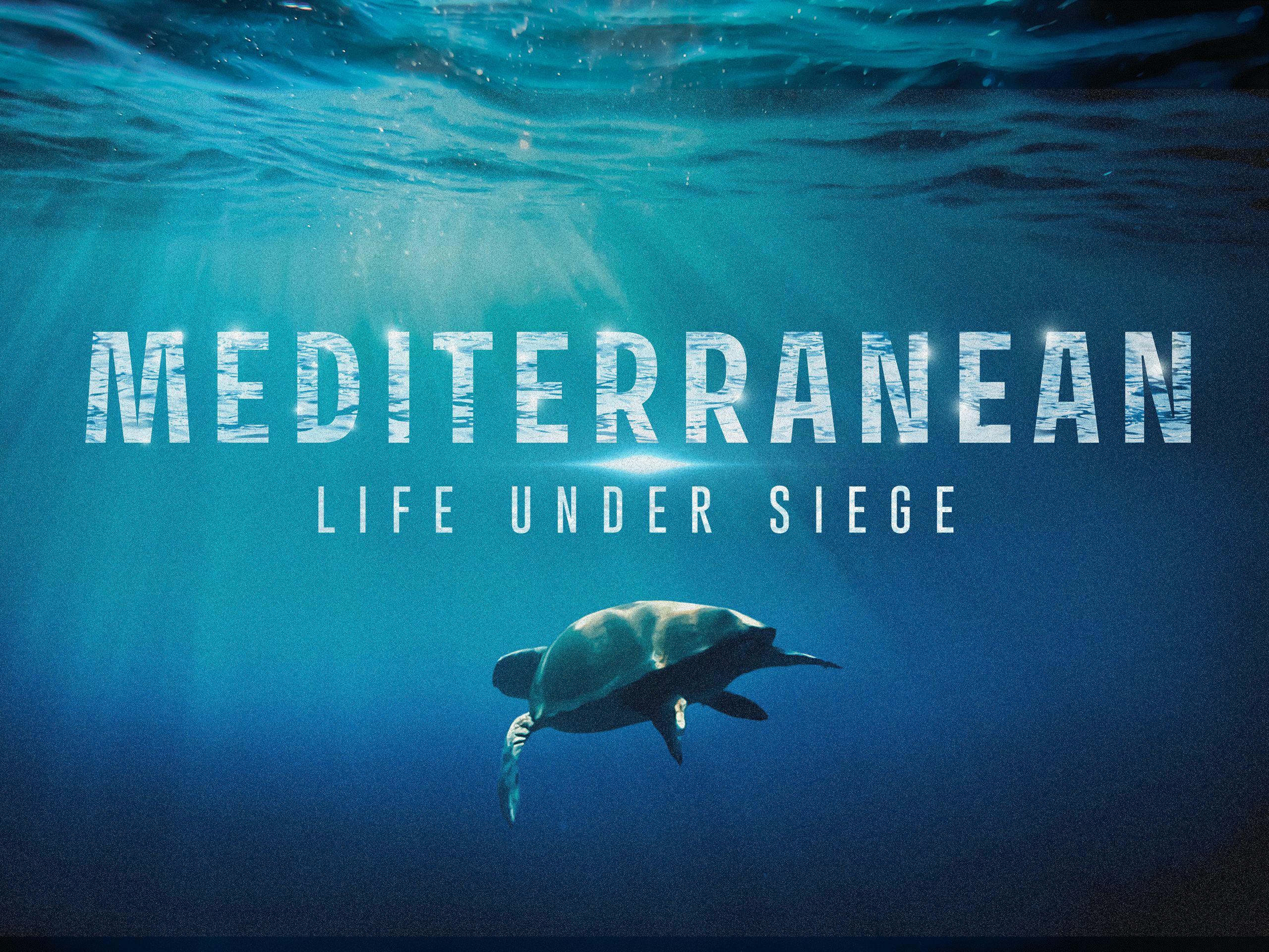 Prime Video: Mediterranean: Life Under Siege