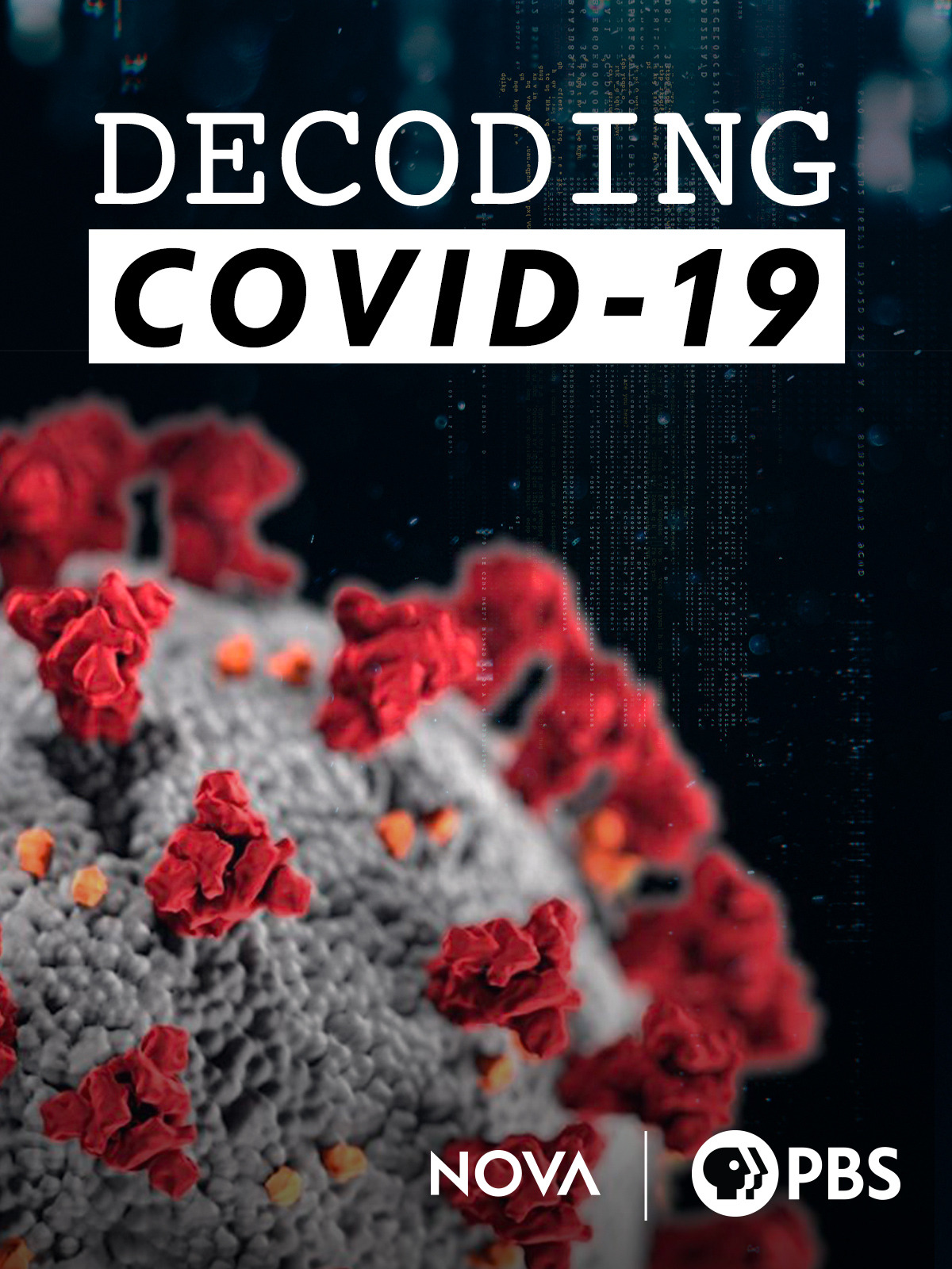 Prime Video: Decoding COVID-19