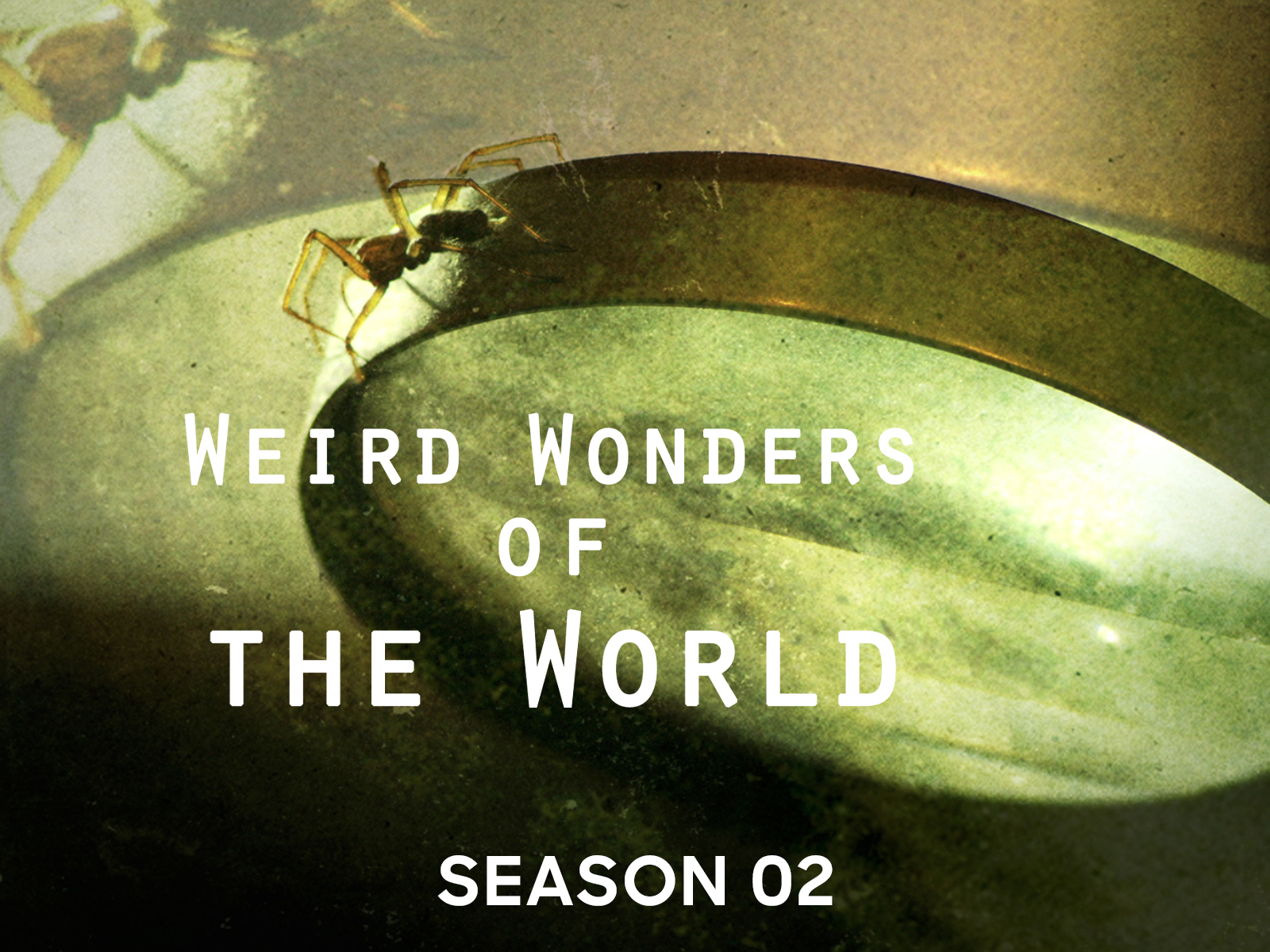 Prime Video: Weird Wonders of the World - Season 2