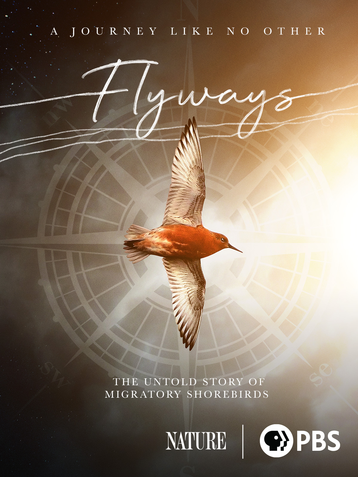 Prime Video: Flyways