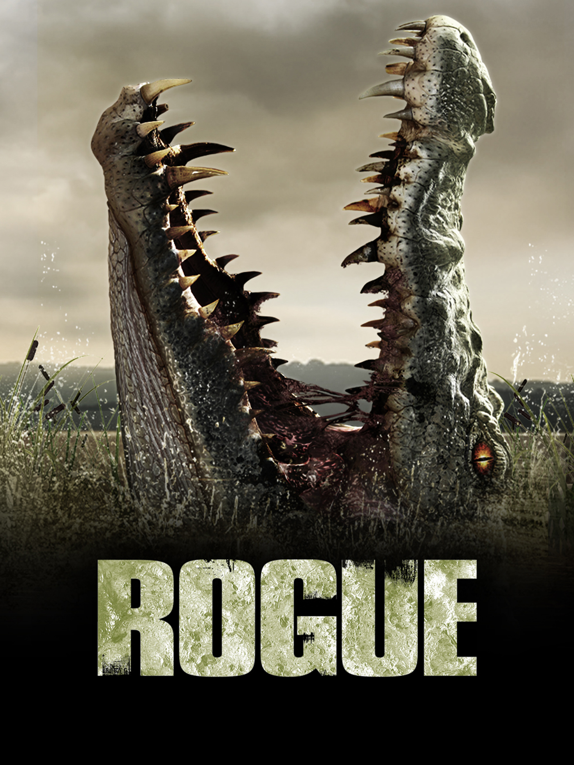 Prime Video: ROGUE (2007)
