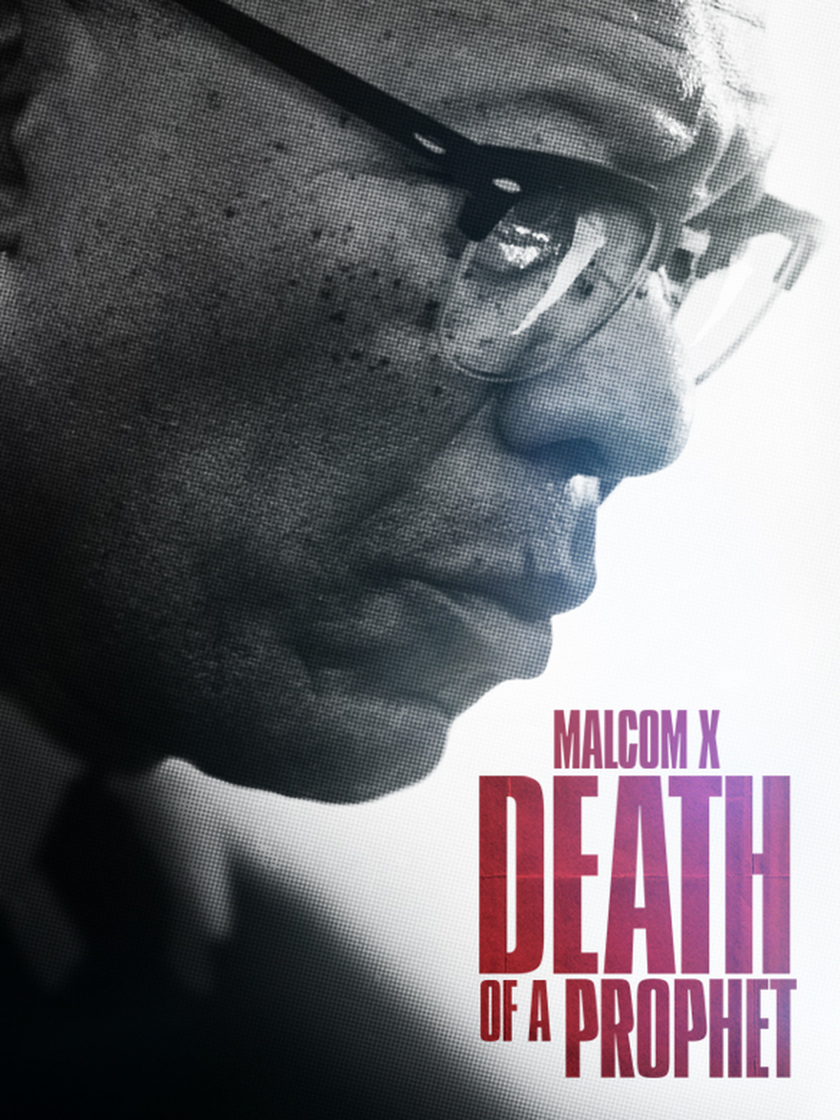 Prime Video: Malcolm X: Death of a Prophet