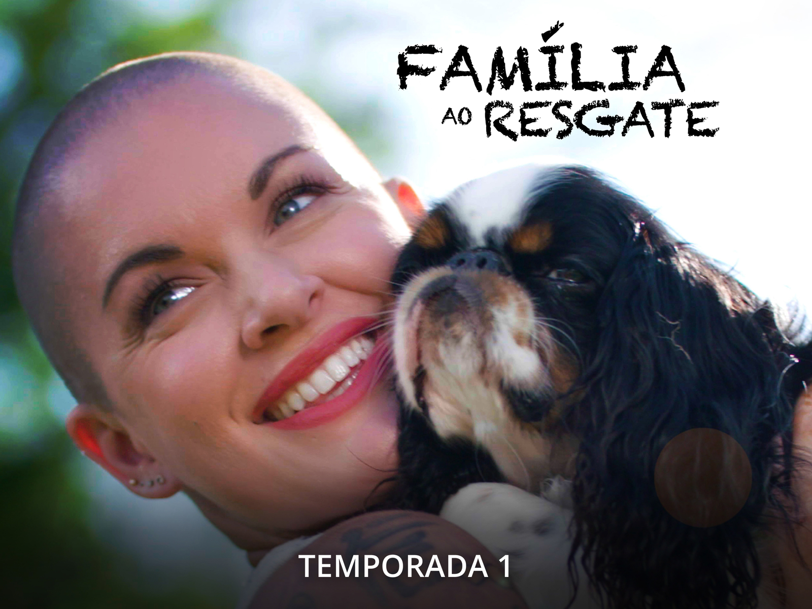 Prime Video: Amanda to the Rescue - Season 1