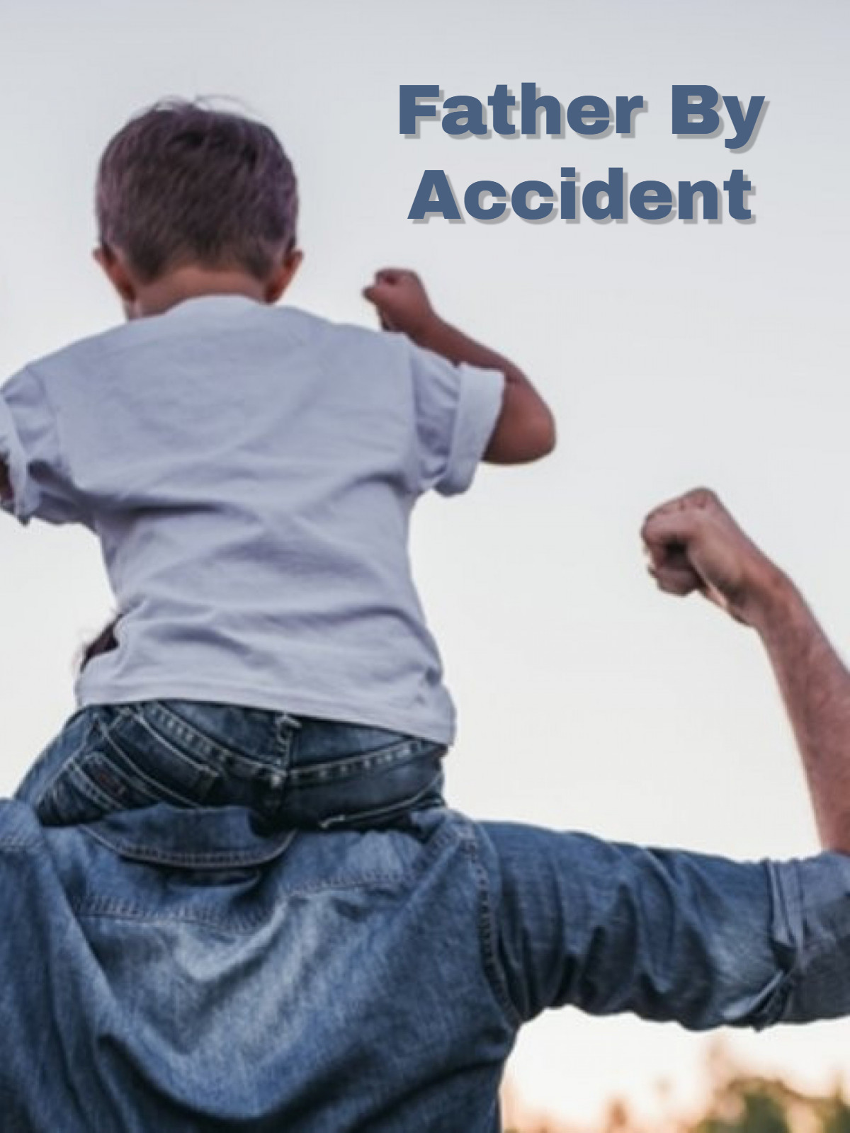 Prime Video: Father By Accident