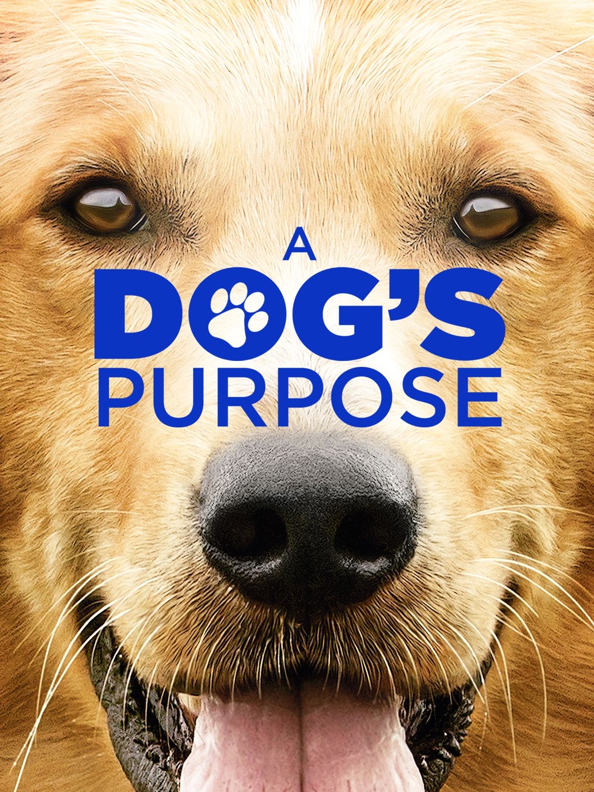 Prime Video: A Dog's Purpose