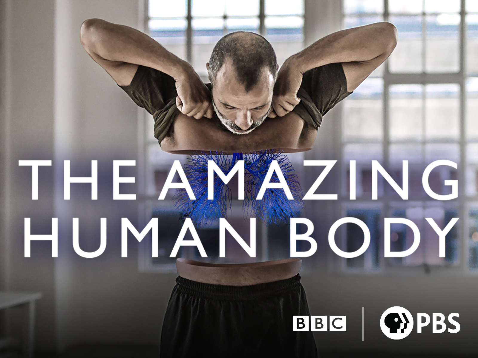 Prime Video: The Amazing Human Body