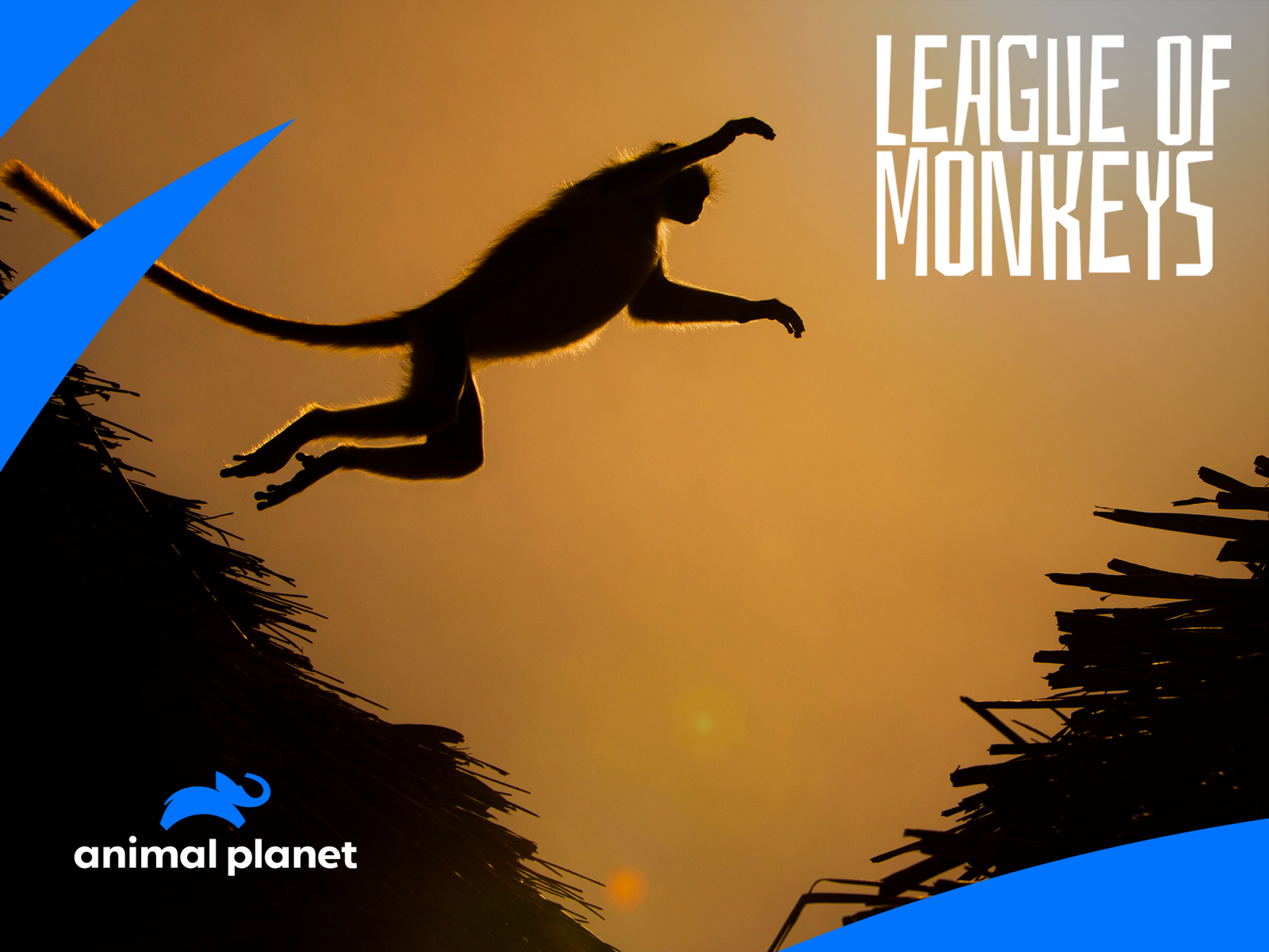 Prime Video: League of Monkeys - Season 1