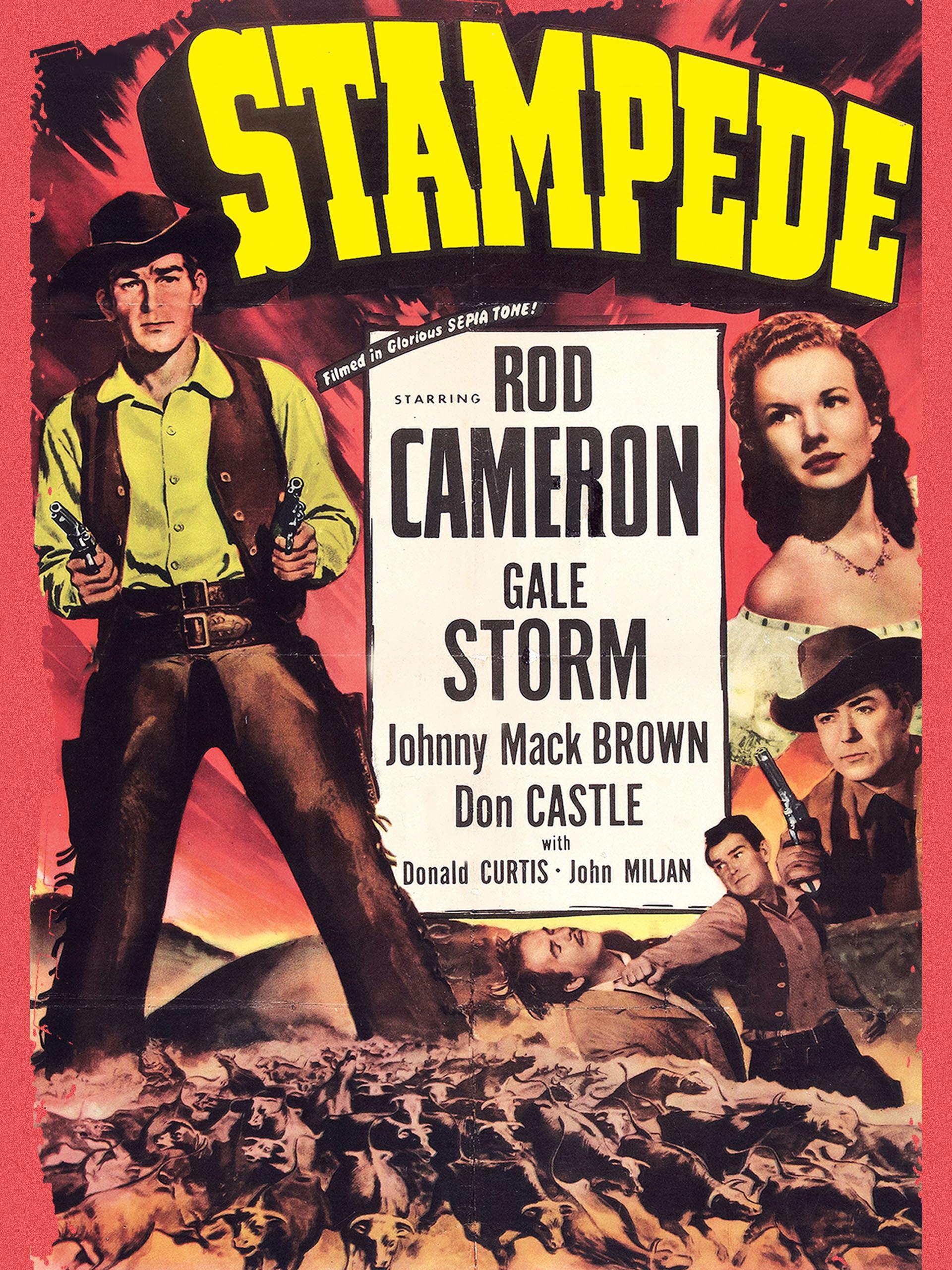 Prime Video: Stampede (1949)