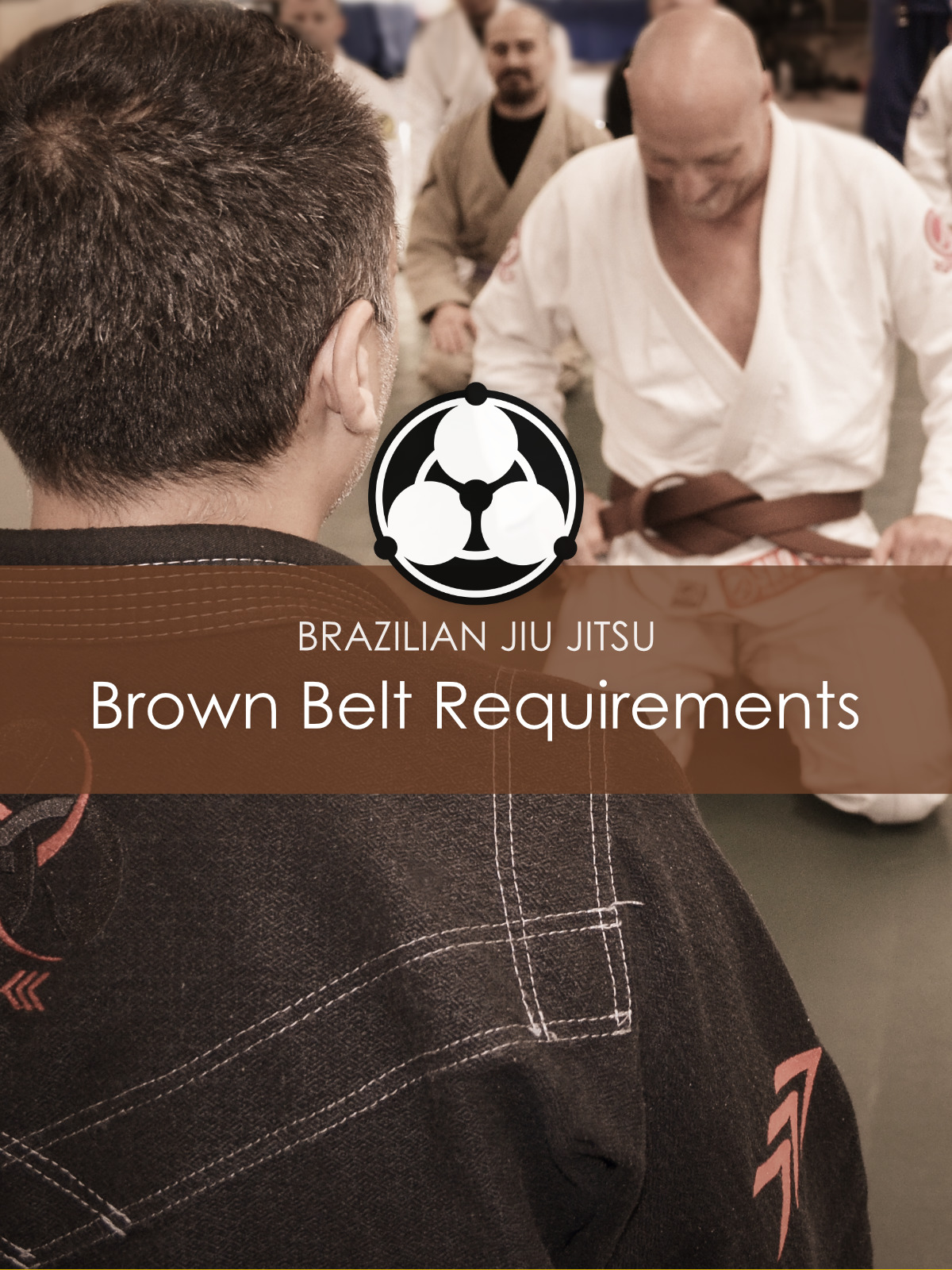 Prime Video: Brazilian Jiu Jitsu Brown Belt Requirements