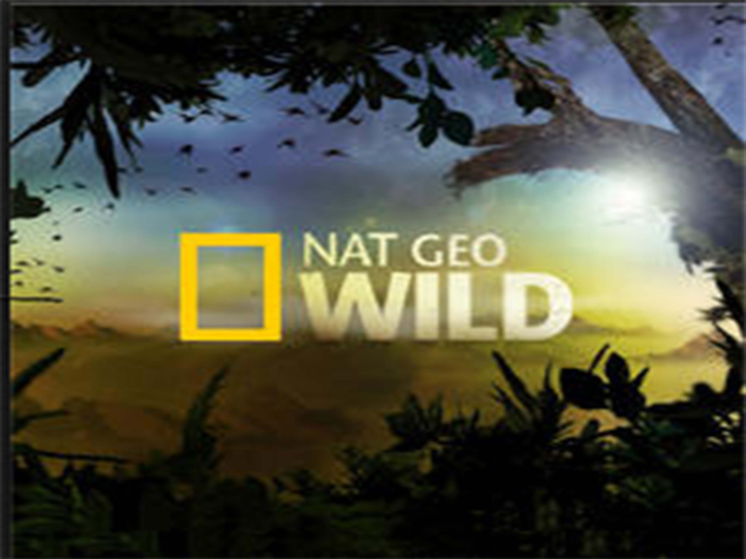 Prime Video: Nat Geo Wild Season 1