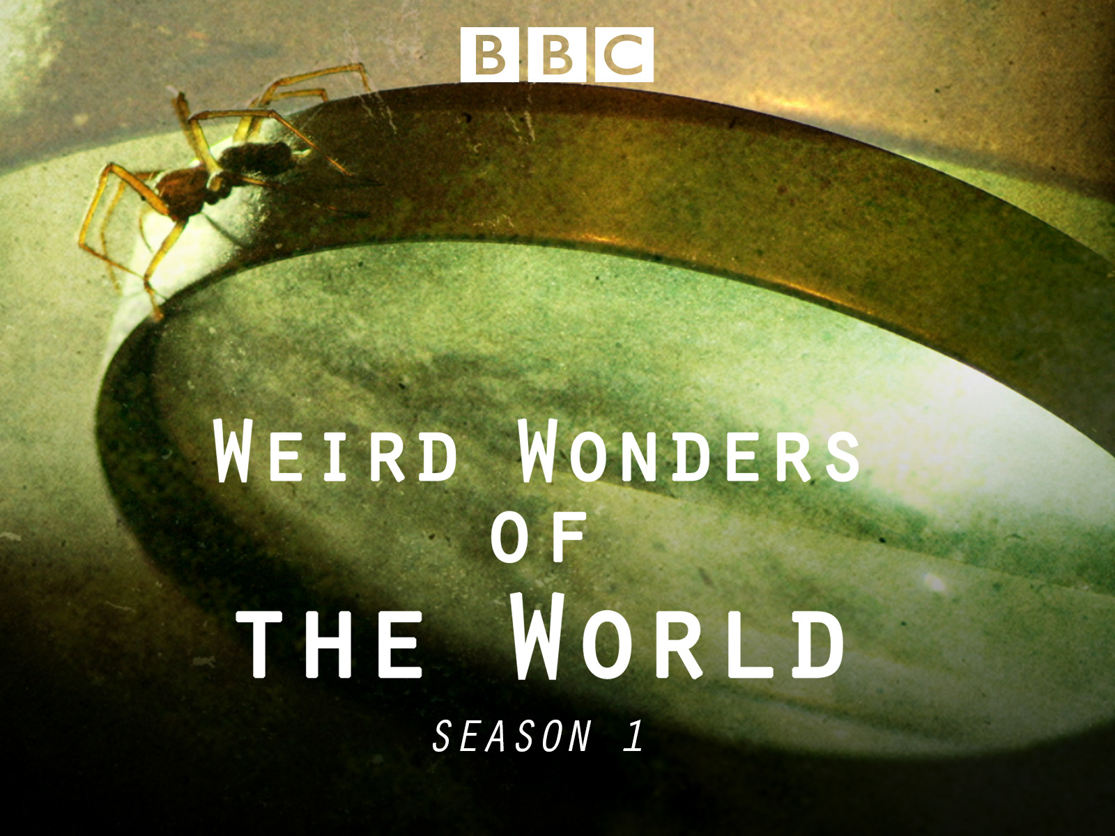 Prime Video: Weird Wonders of the World, Season 1