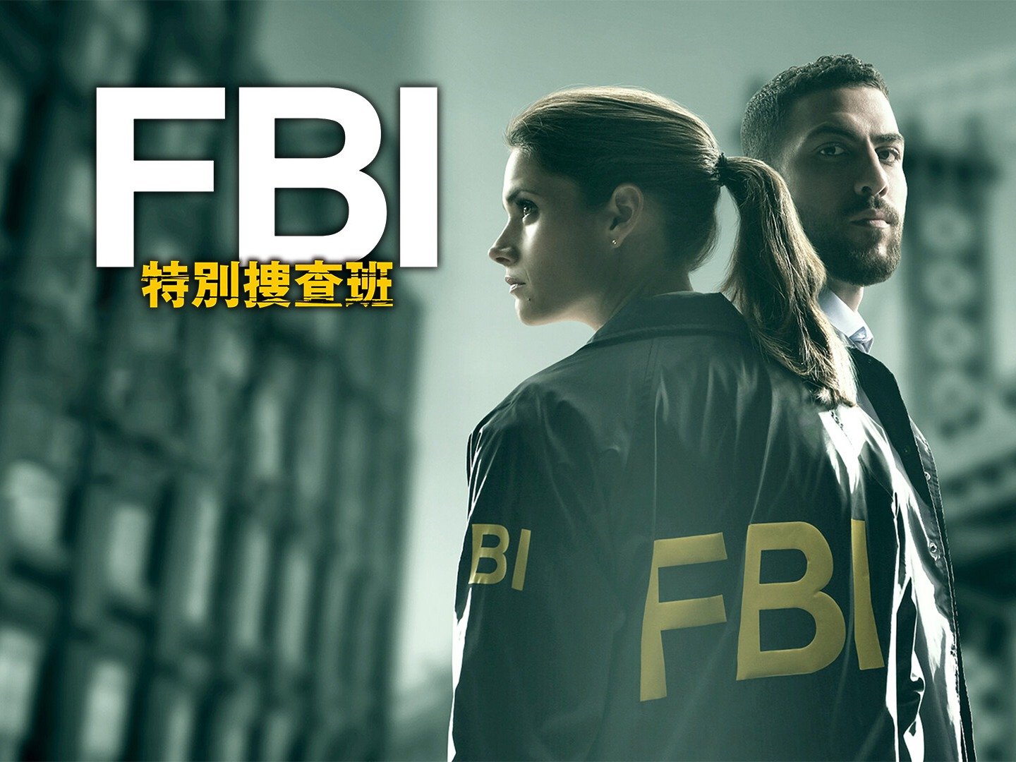 Prime Video: FBI: 特別捜査班