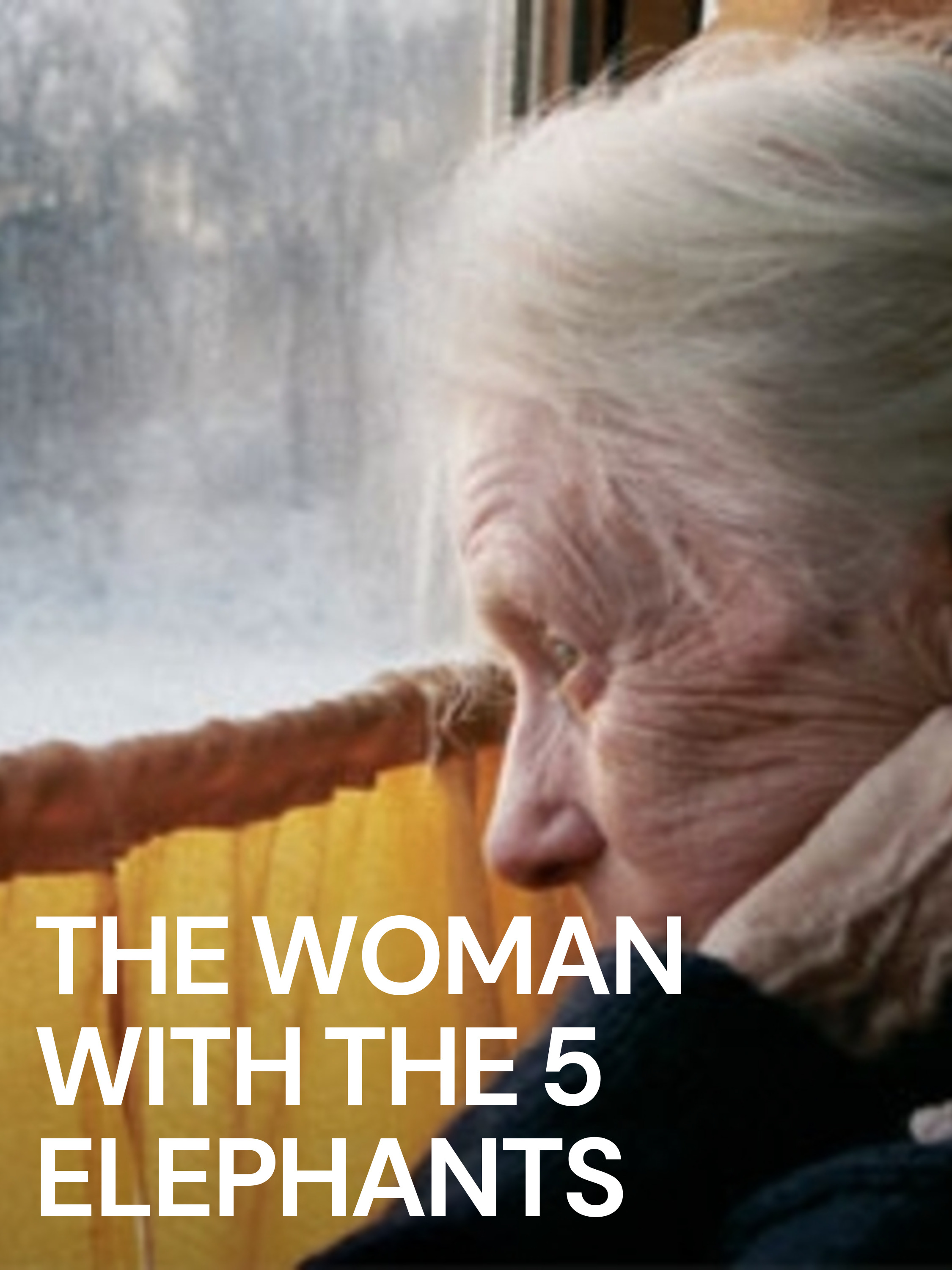 Prime Video: The Woman with the 5 Elephants