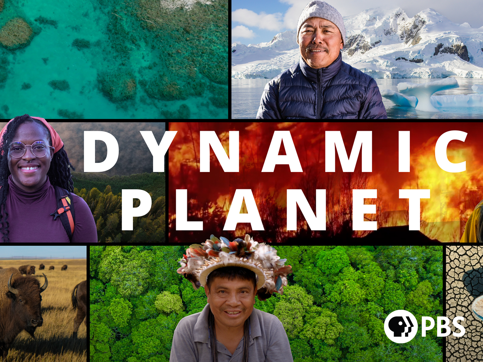 Prime Video: Dynamic Planet, Season 1