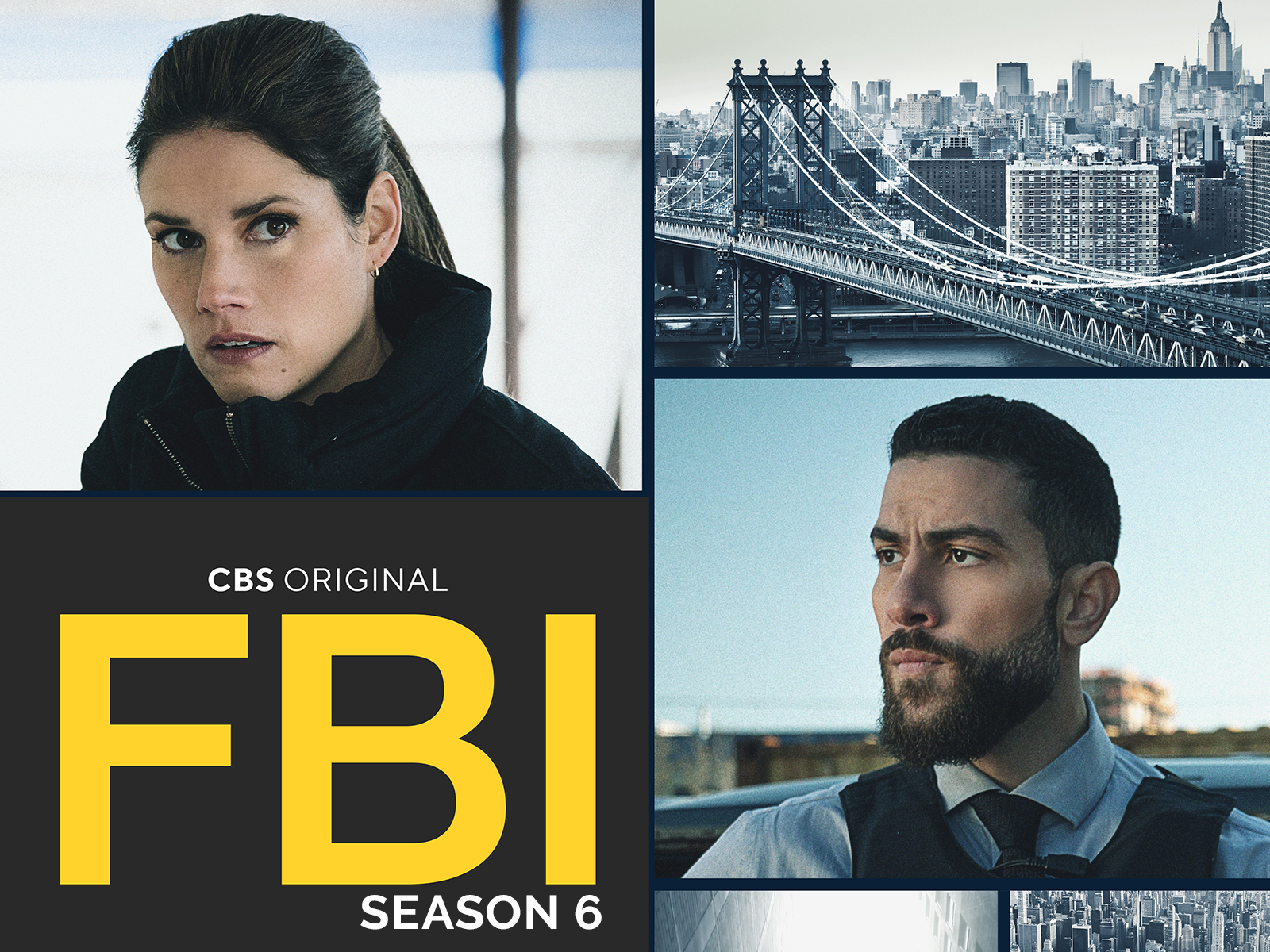 프라임 비디오: FBI - Season 6