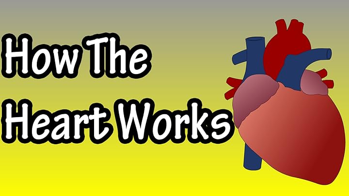 Watch The Amazing Human Body | Prime Video