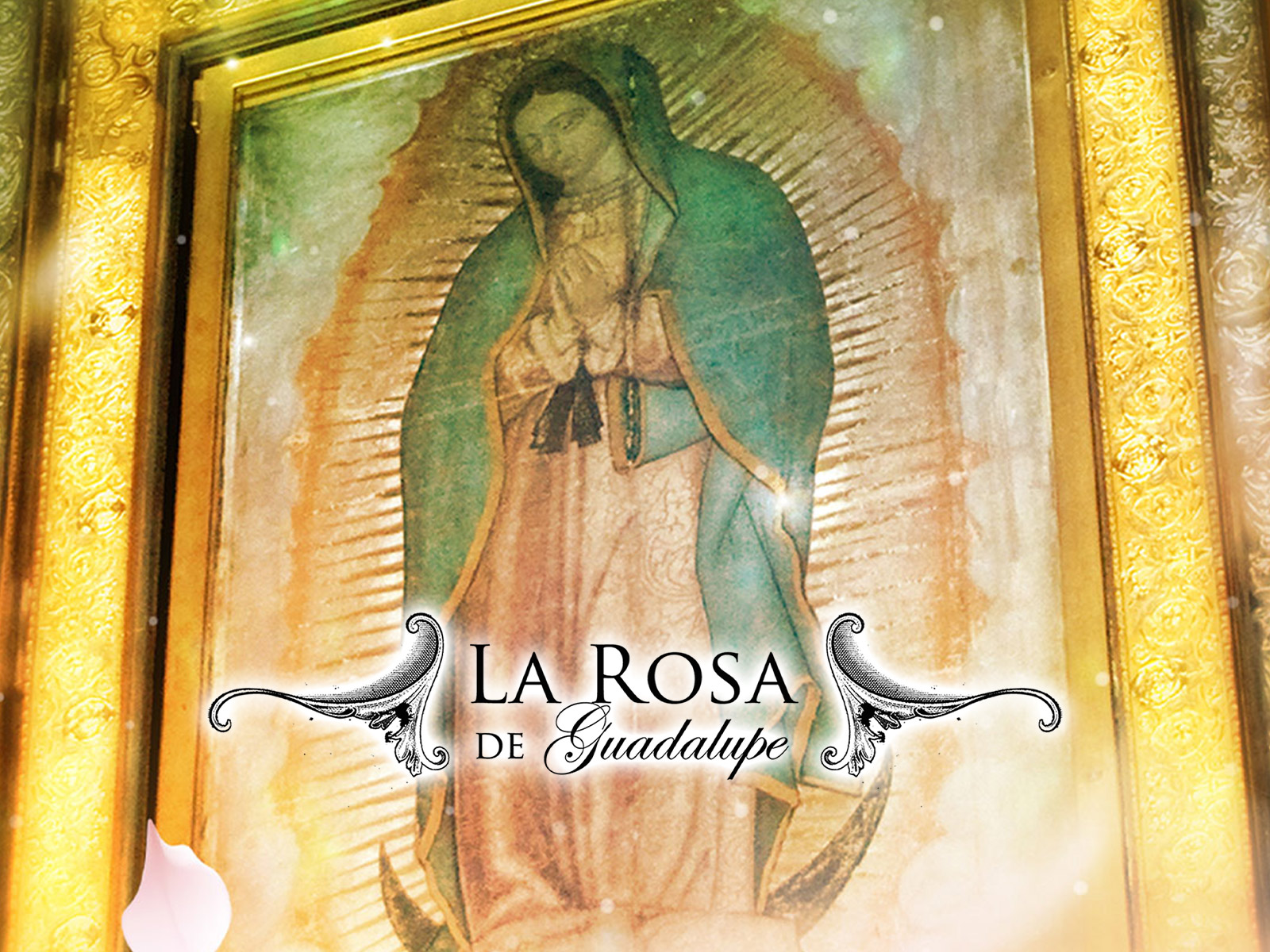 Prime Video: La Rosa de Guadalupe season-2019