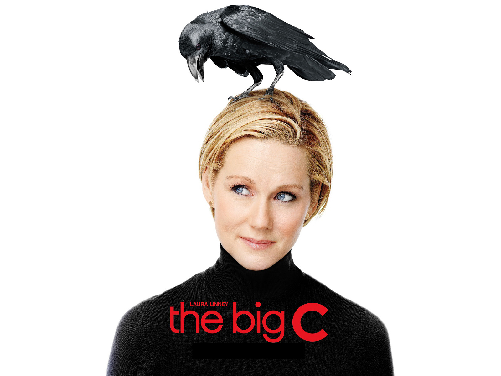 Prime Video: The Big C - Staffel 4