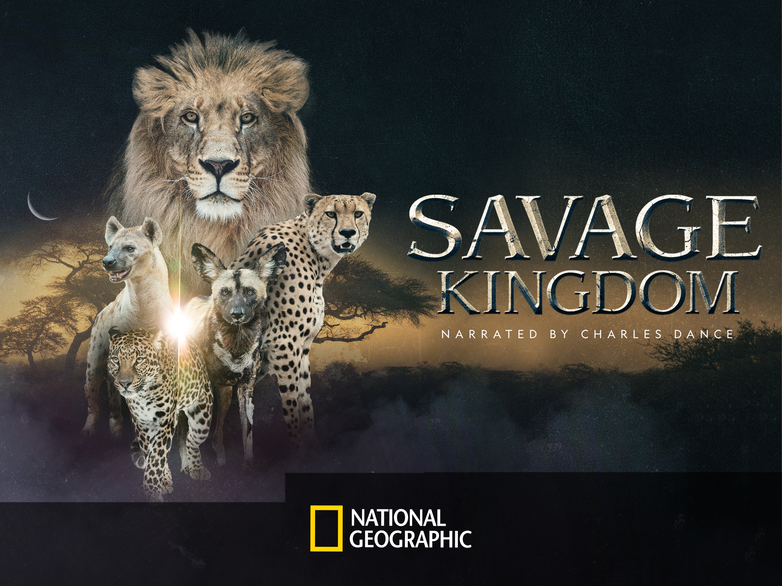 Prime Video: Savage Kingdom Season 3
