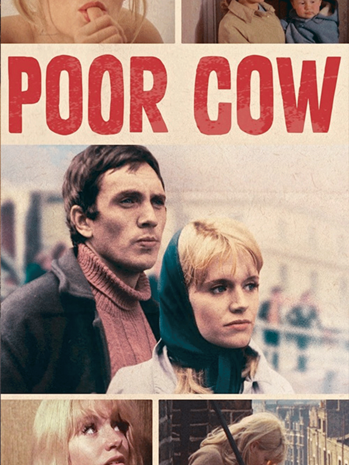 Prime Video: Poor Cow