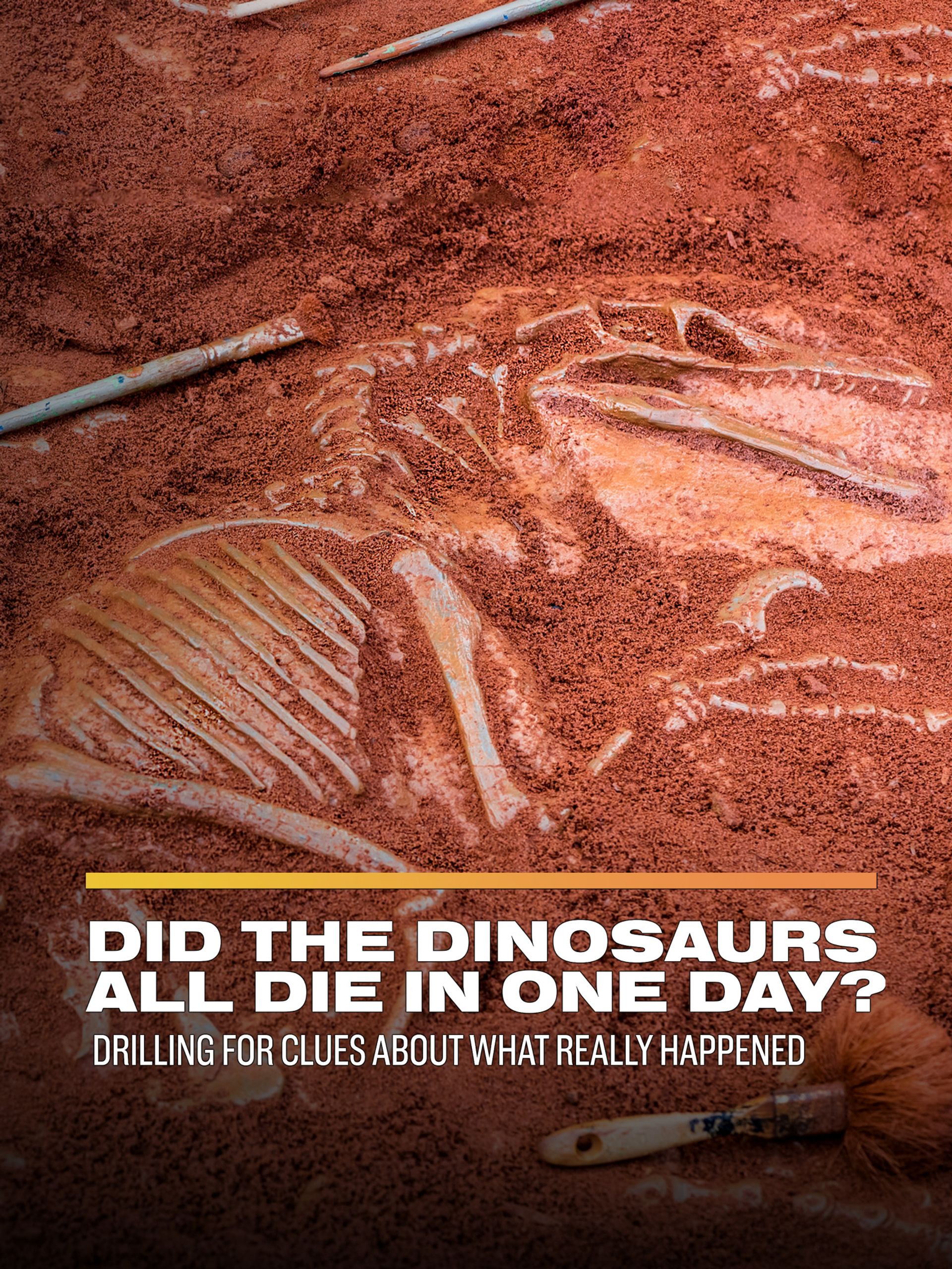 Prime Video: Did the Dinosaurs All Die in One Day? Drilling for Clues About What Really Happened