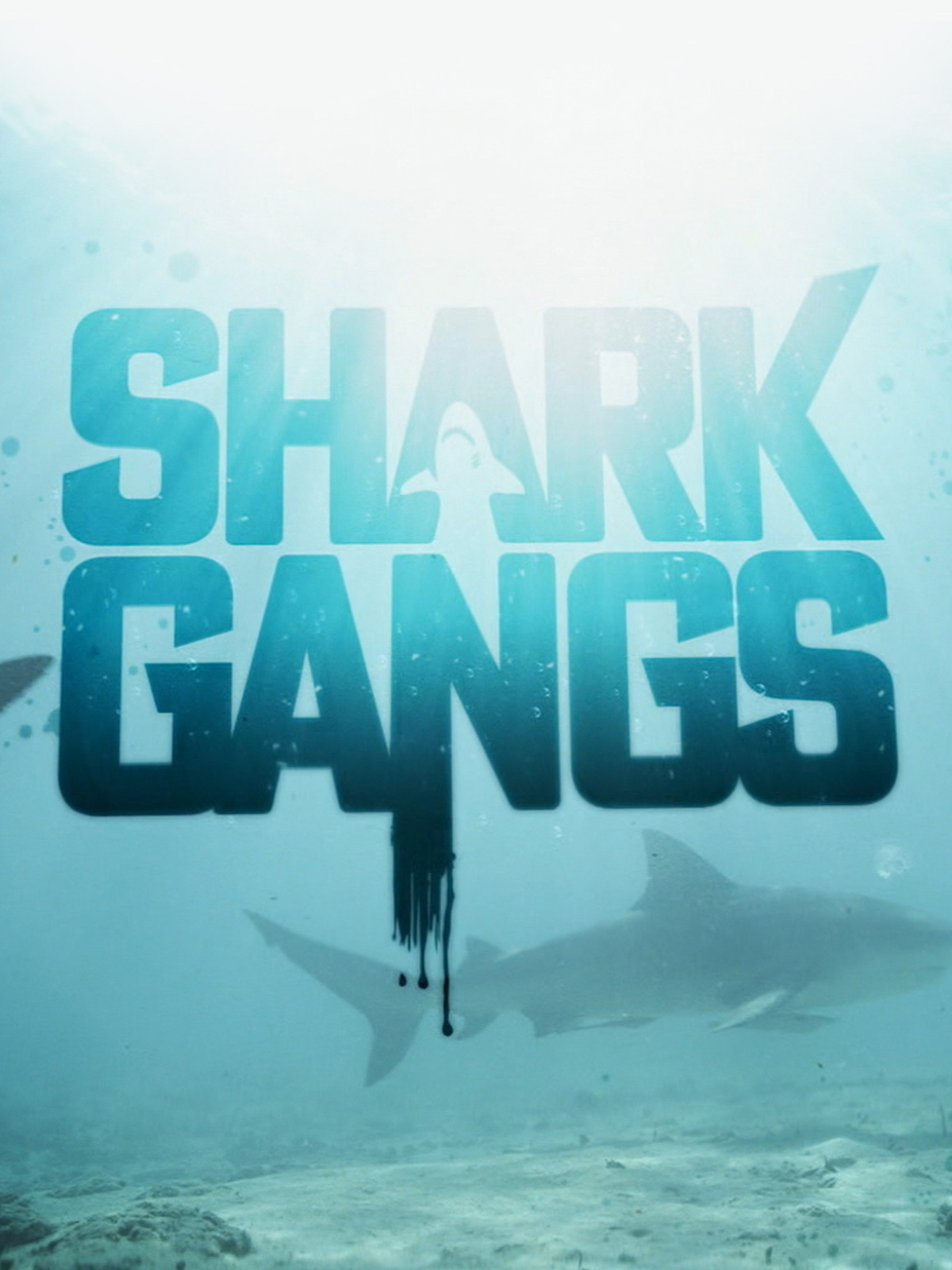 Prime Video: Shark Gangs