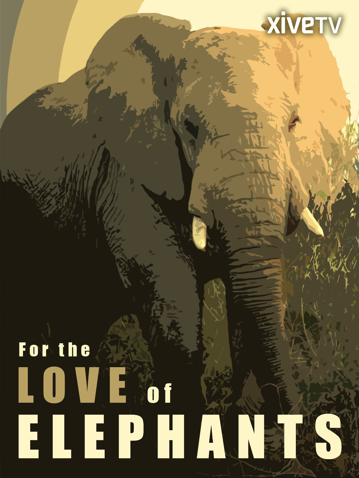 Prime Video: For the Love of Elephants