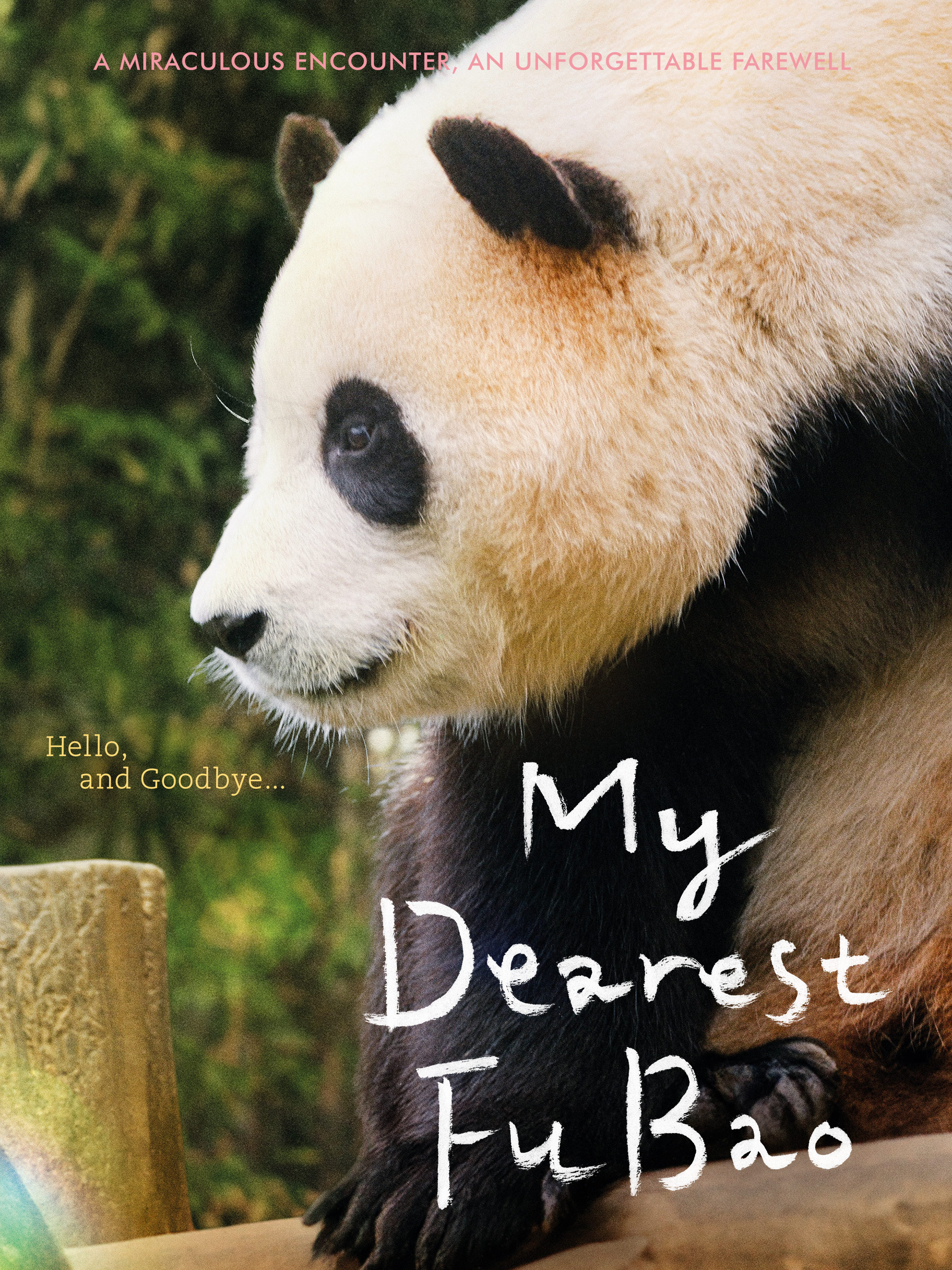 Prime Video: My Dearest Fu Bao