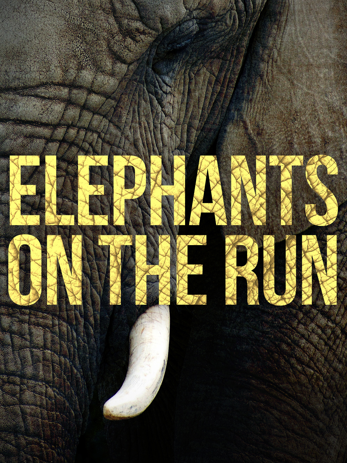 Prime Video: Elephants on the Run