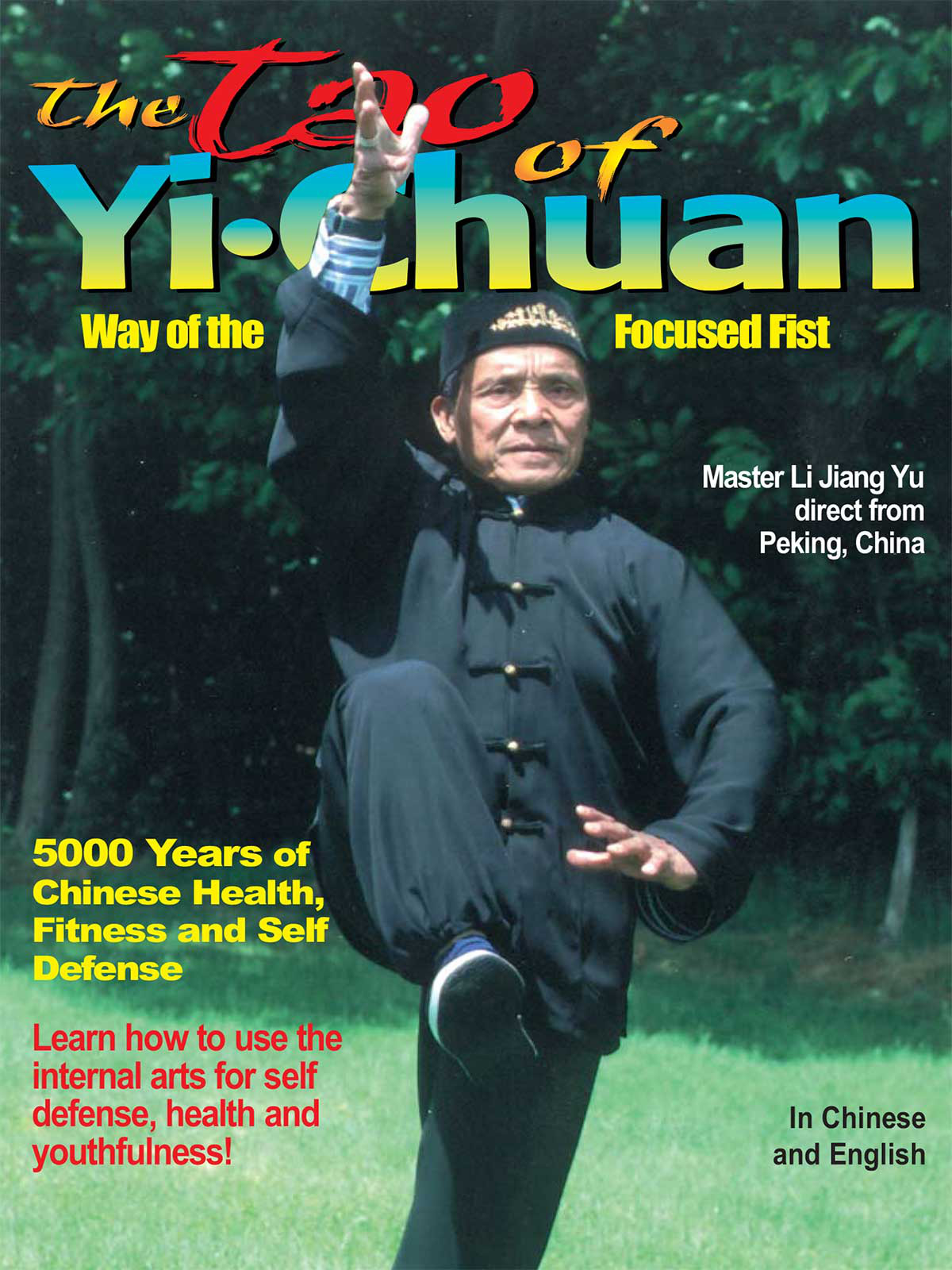 Prime Video: The Tao Of Yi Chuan