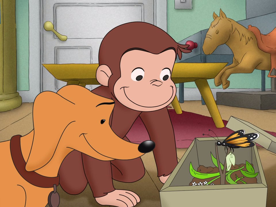 Curious George Monkey Down Under