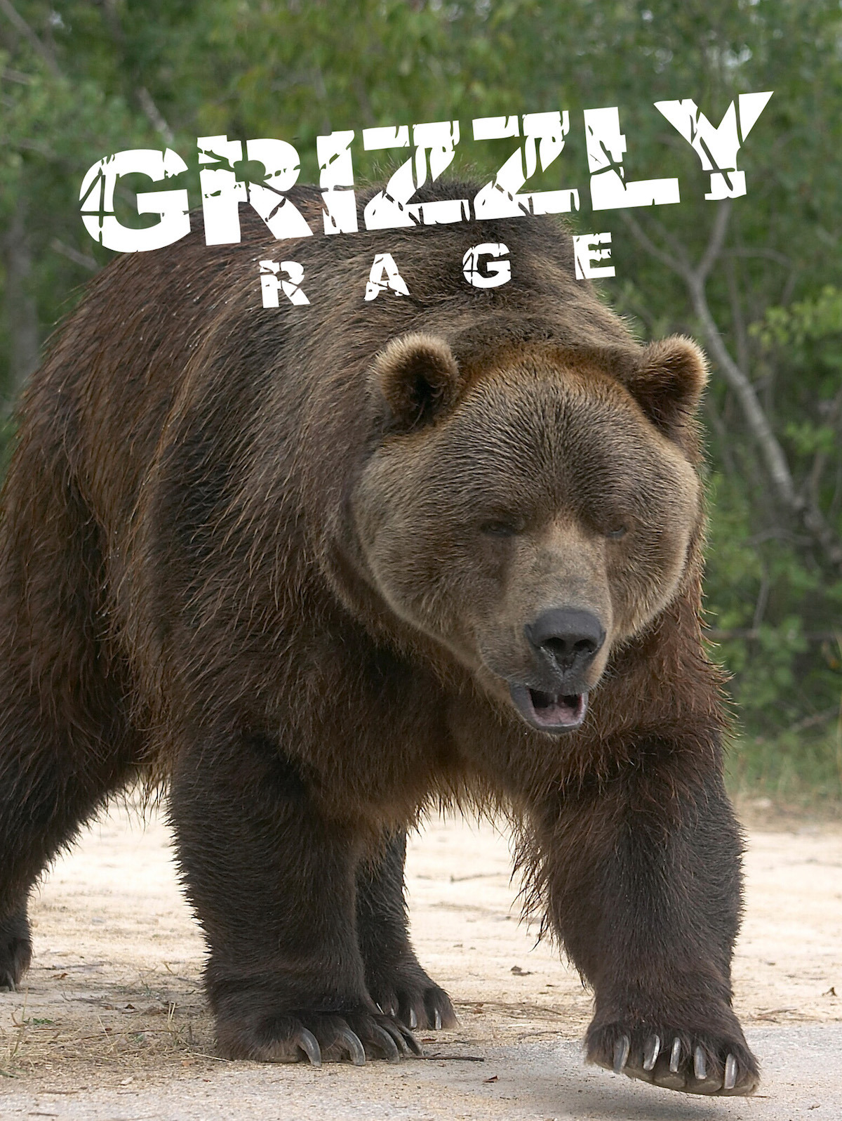 Prime Video: Grizzly Rage