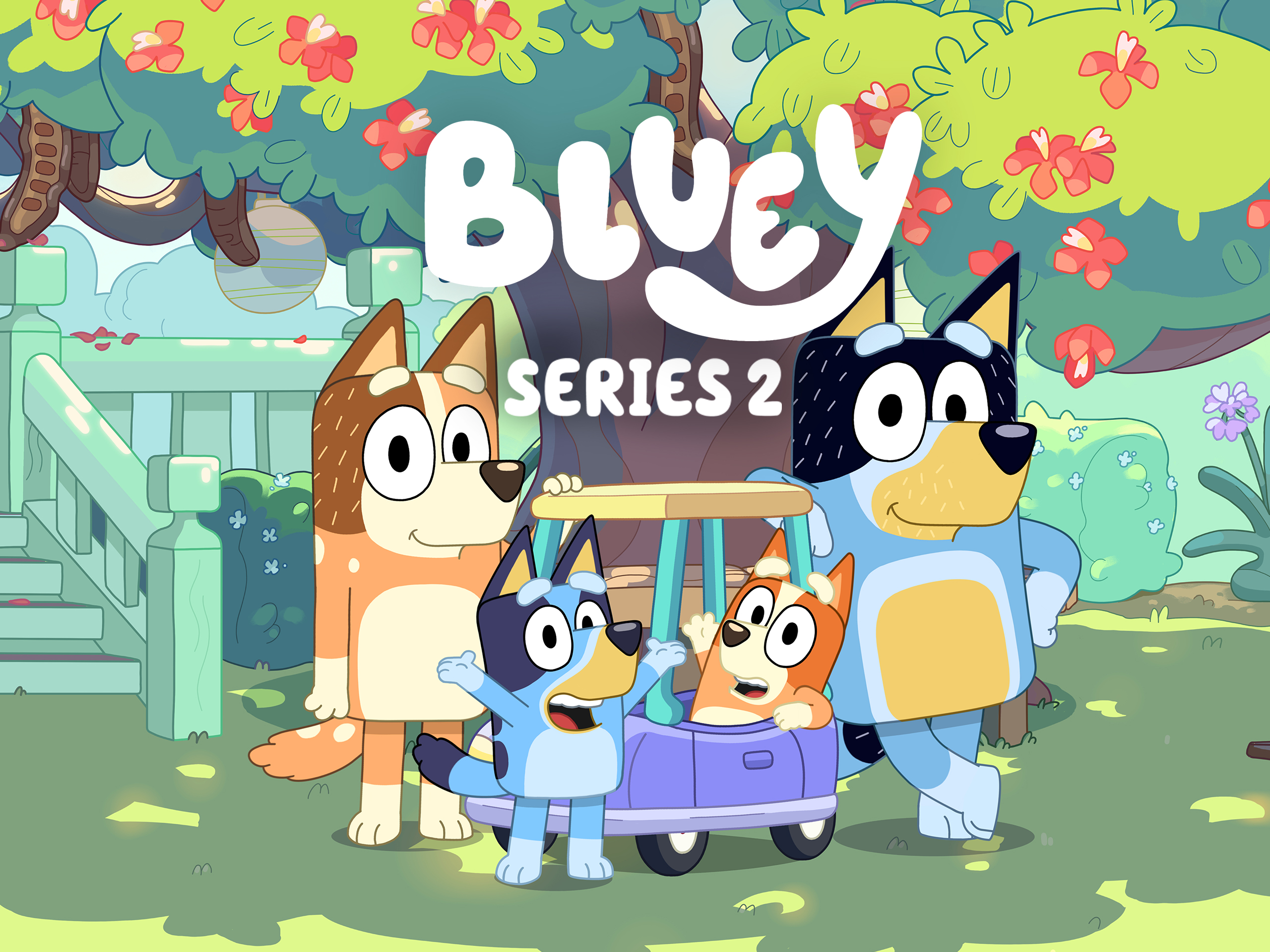 Prime Video: Bluey S02