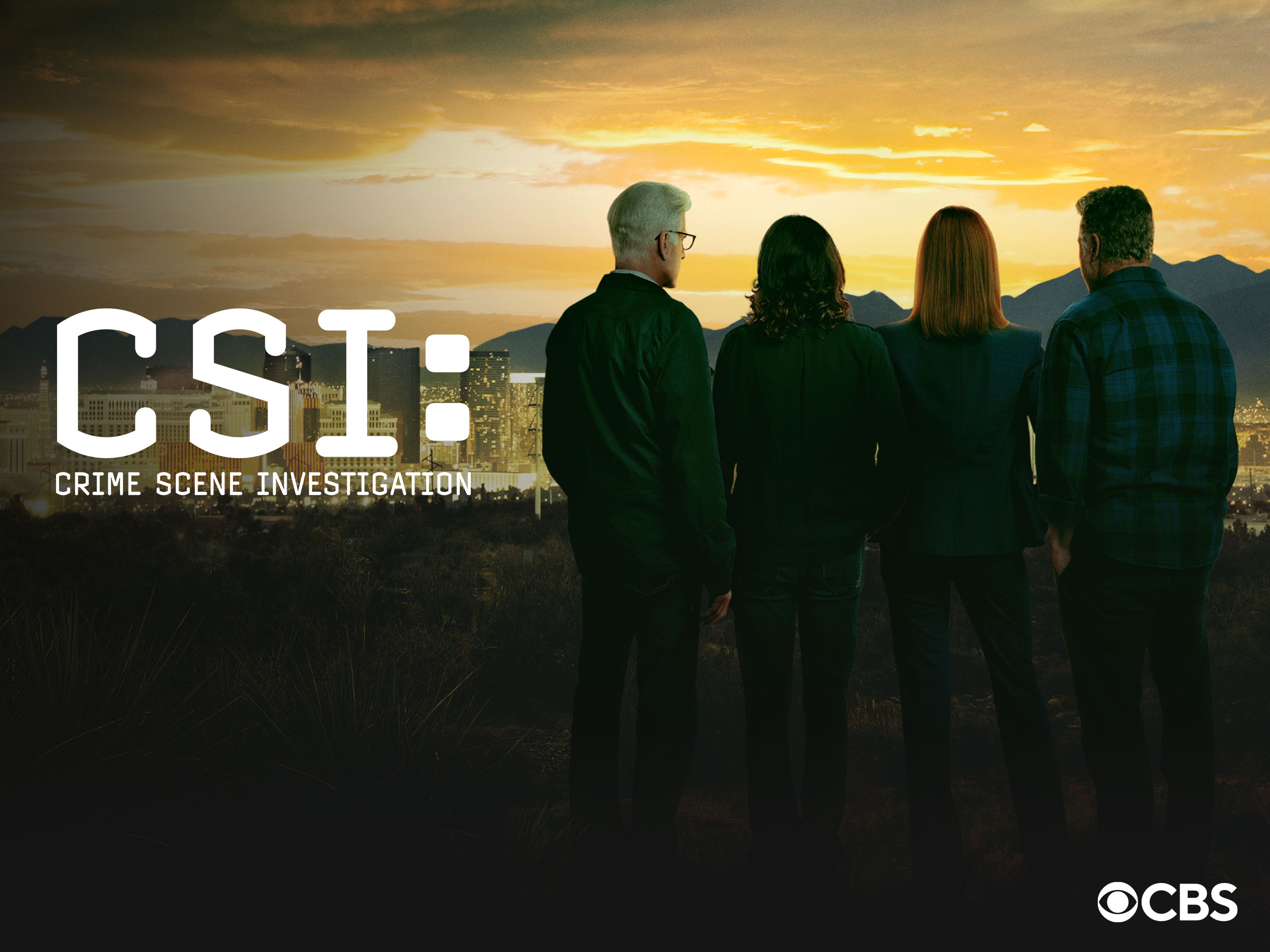 Prime Video: CSI: Crime Scene Investigation Season 16