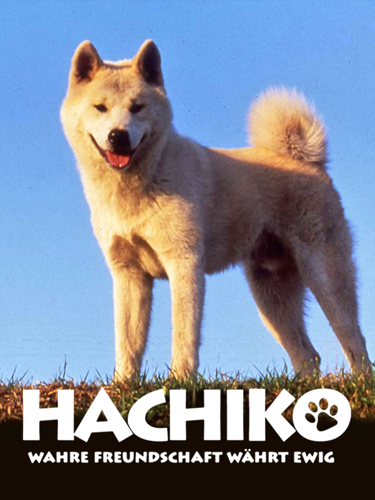 Prime Video: Hachiko - Wahre Freundschaft währt ewig