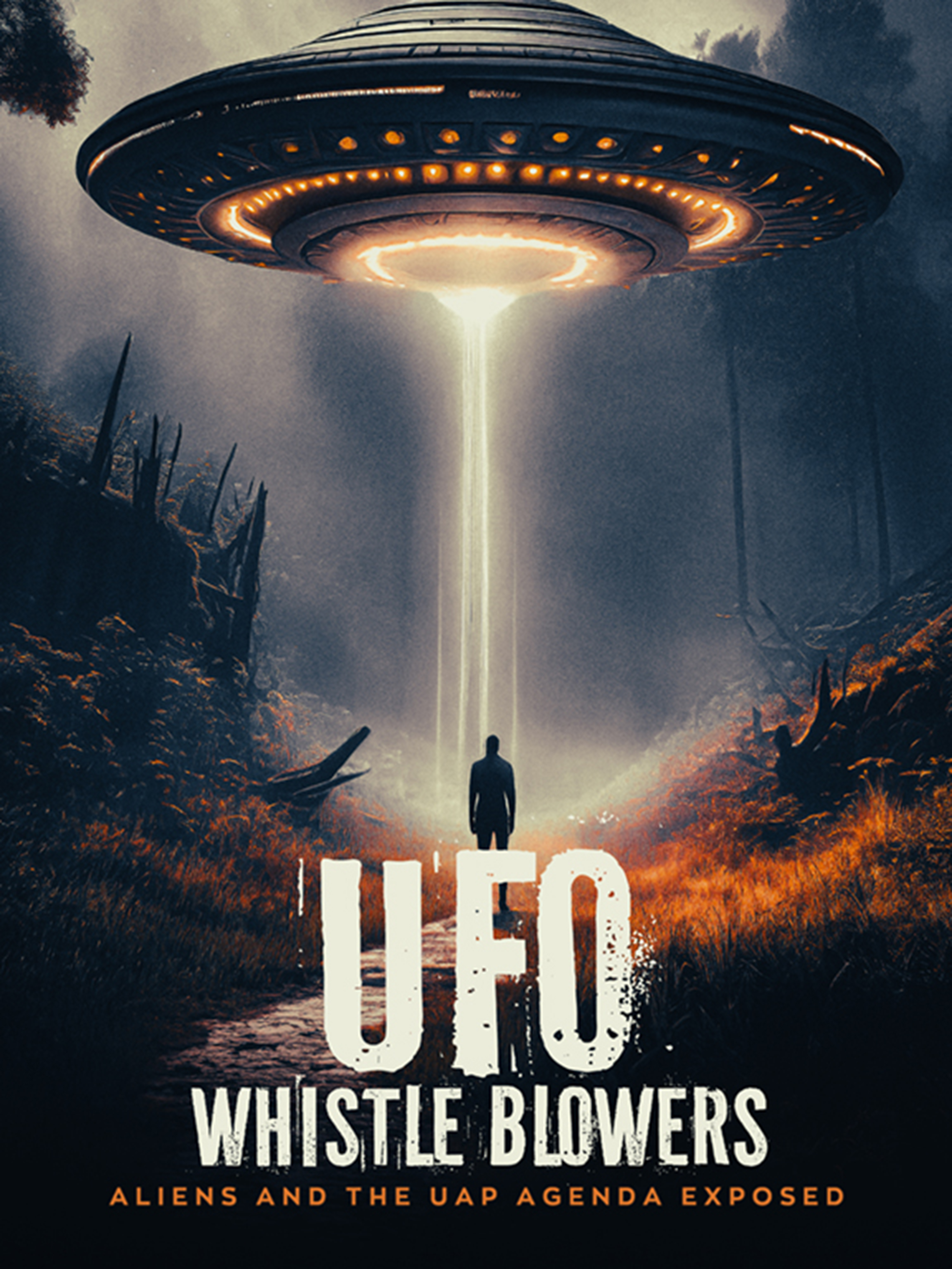 Prime Video: UFO Whistleblowers: Aliens and The UAP Enigma Exposed