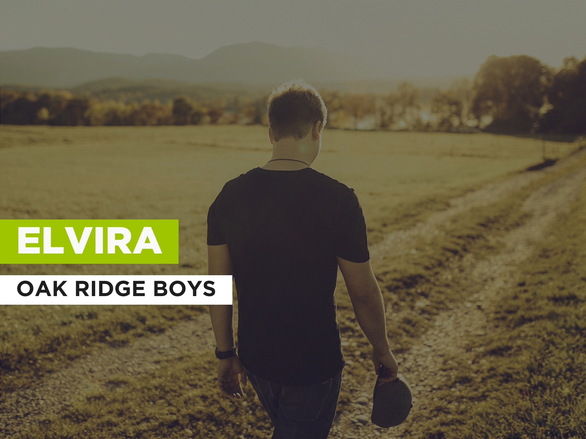 Prime Video: Elvira in the Style of Oak Ridge Boys