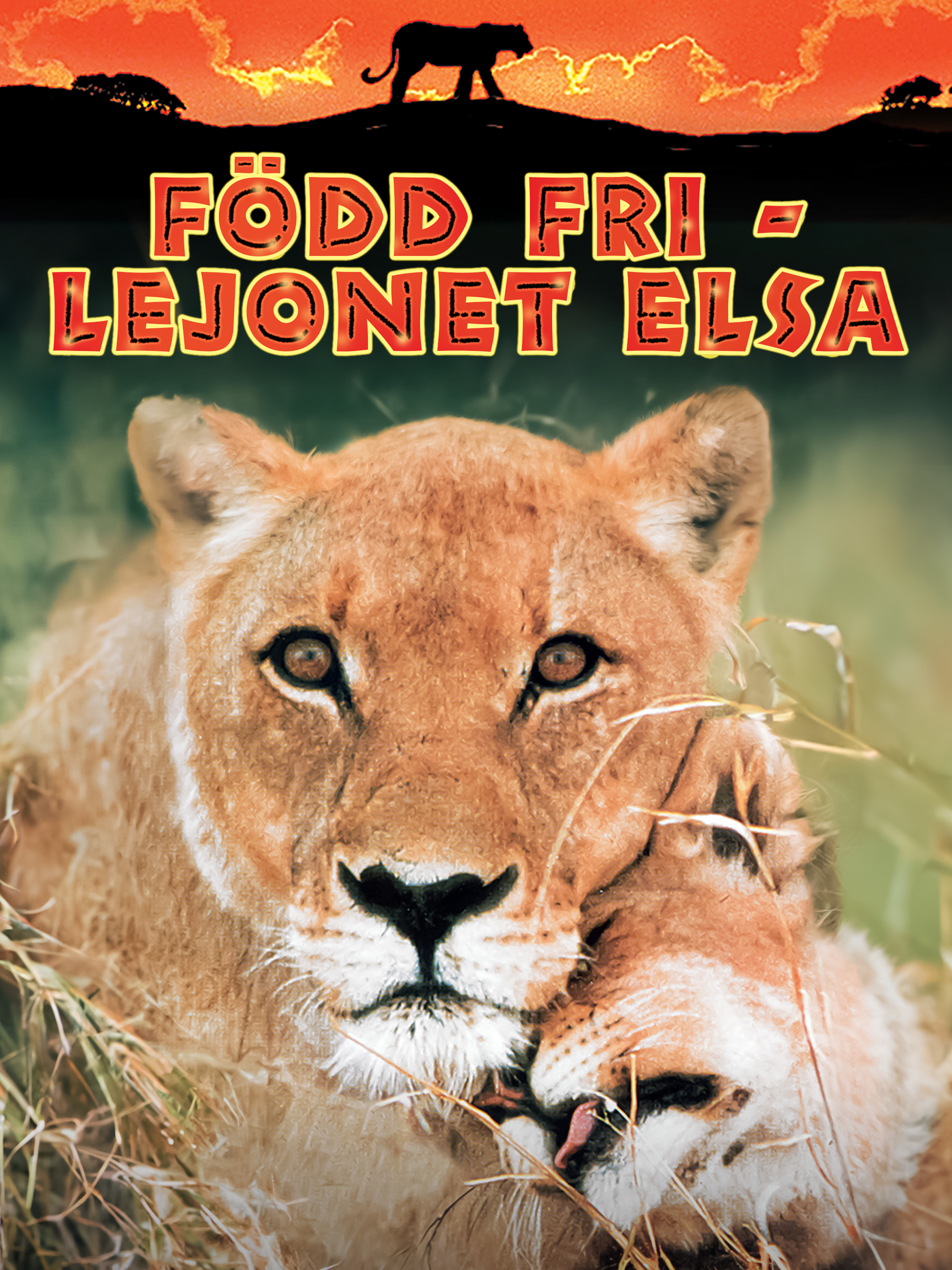 Prime Video: Född fri - Lejonet Elsa