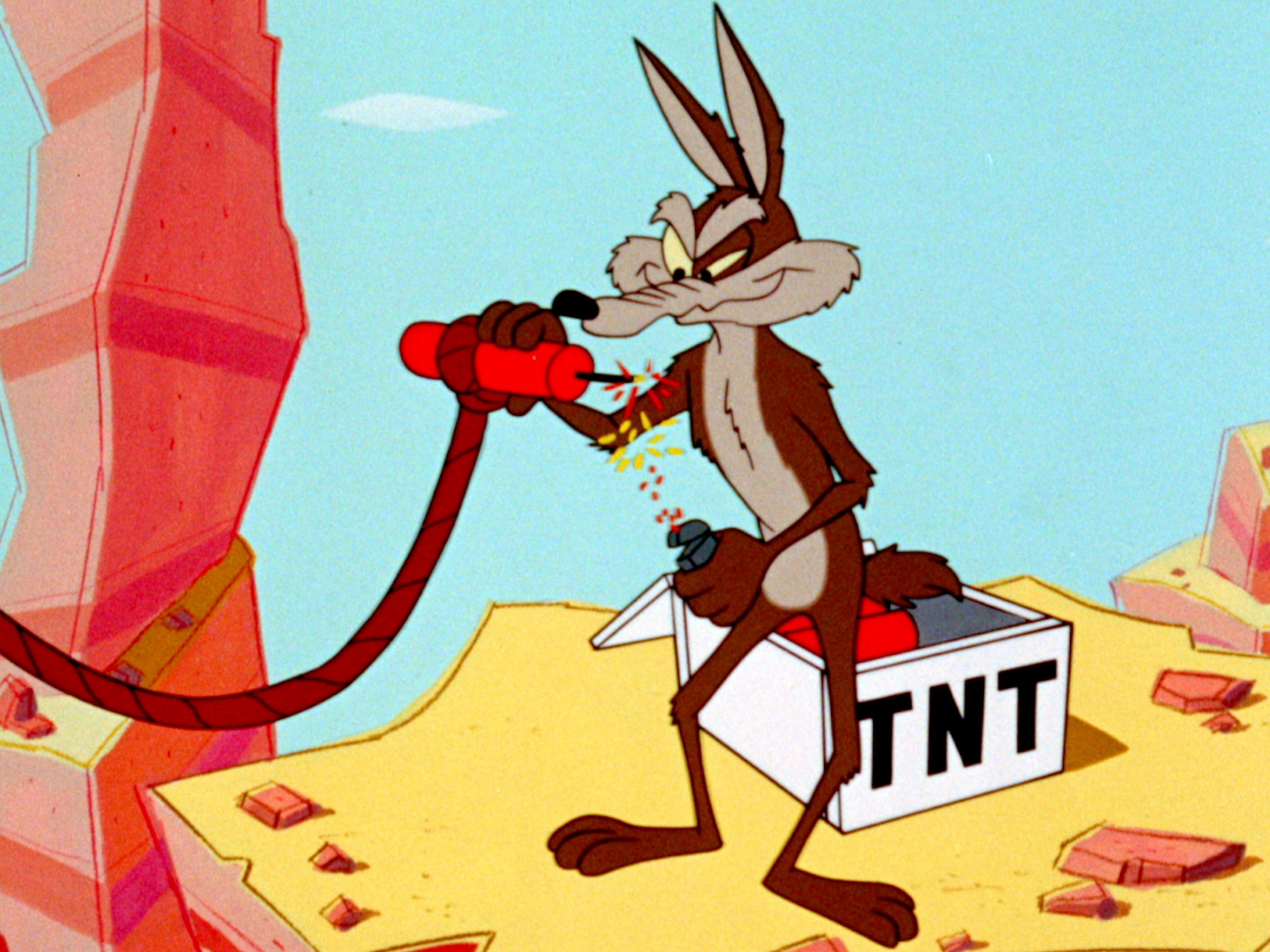 Road Runner Coyote Tnt
