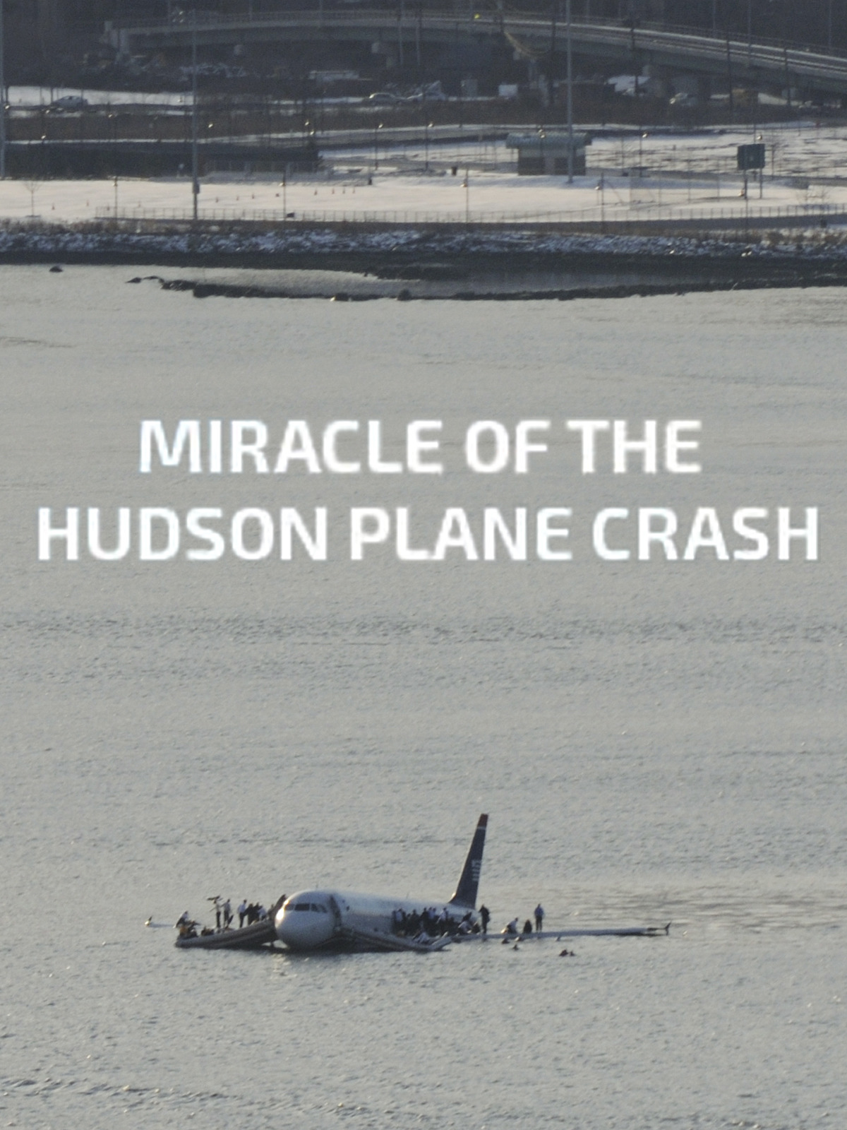 Prime Video: Miracle of the Hudson Plane Crash