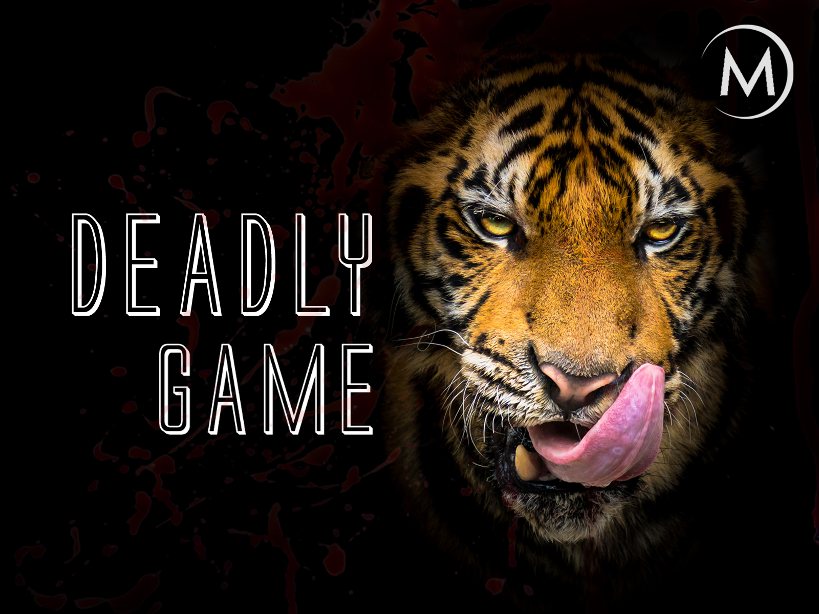 Prime Video: Deadly Game