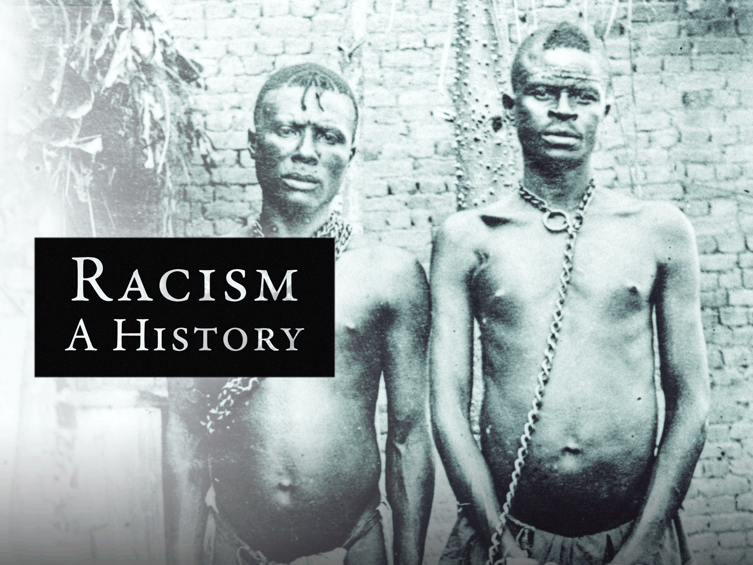 Prime Video: Racism: A History