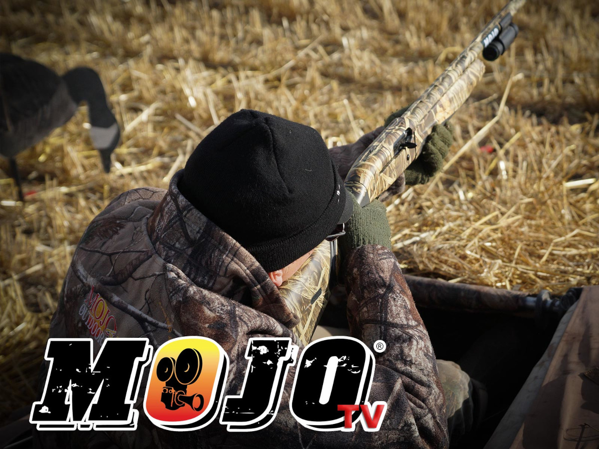 Prime Video: Mojo TV - Season 13