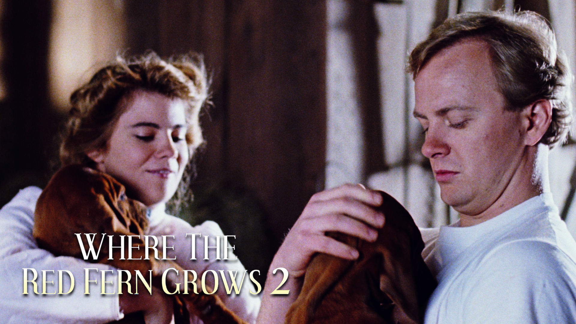 Where The Red Fern Grows Movie