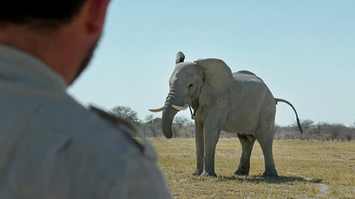 Prime Video: Walking With Elephants - Season 1