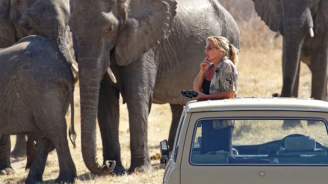 Prime Video: All The President's Elephants